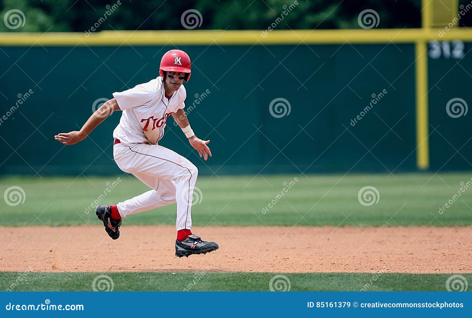 Baseball Player Picture. Image: 85161379