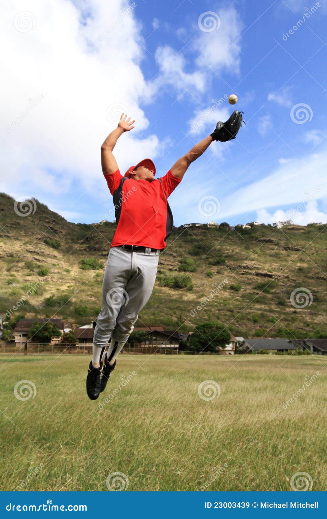 T-ball Baseball Bat Hanging On Dugout Fence Royalty-Free Stock Image ...