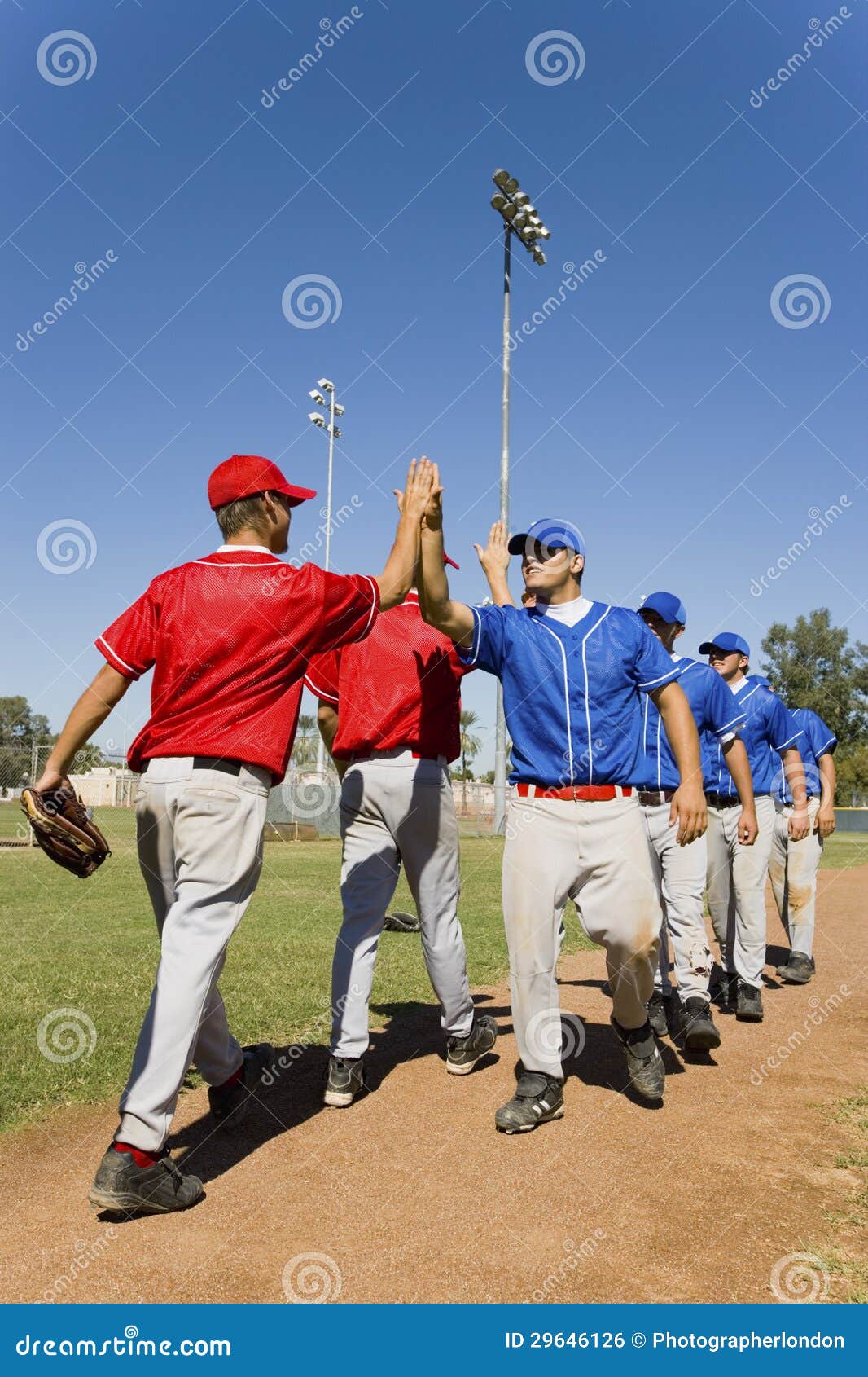 Baseball Players Giving High-Five Stock Photo - Image of sports, blue ...