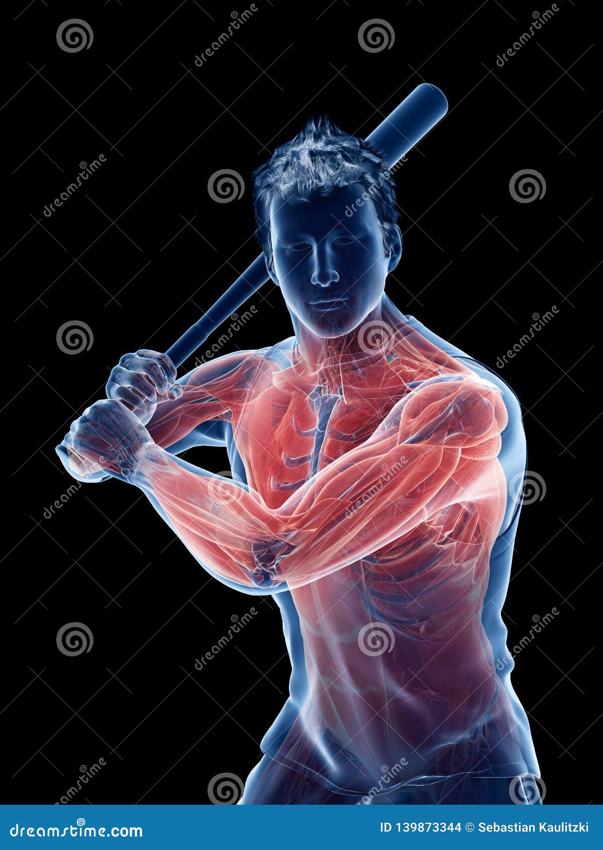 A baseball players muscles stock illustration. Illustration of artwork ...