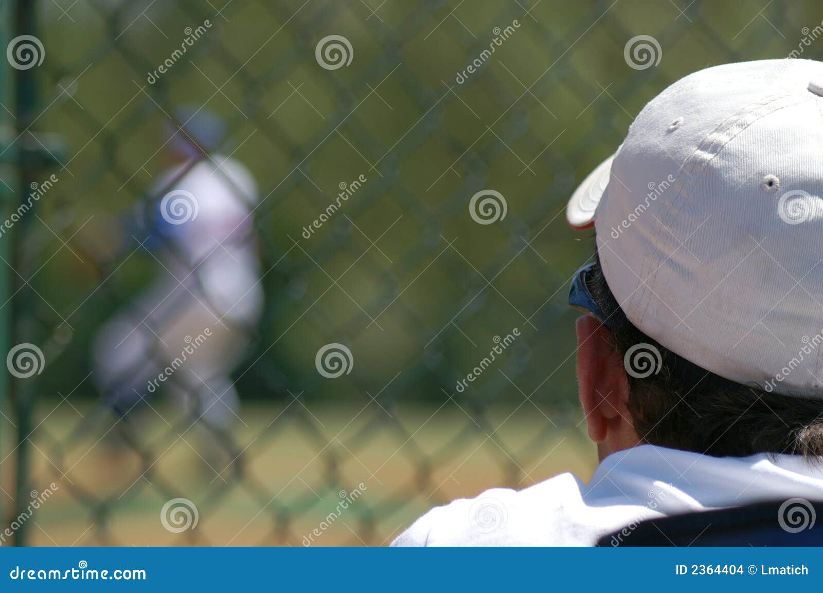 Baseball Spectator 2 stock photo. Image of catcher, ball - 2364404