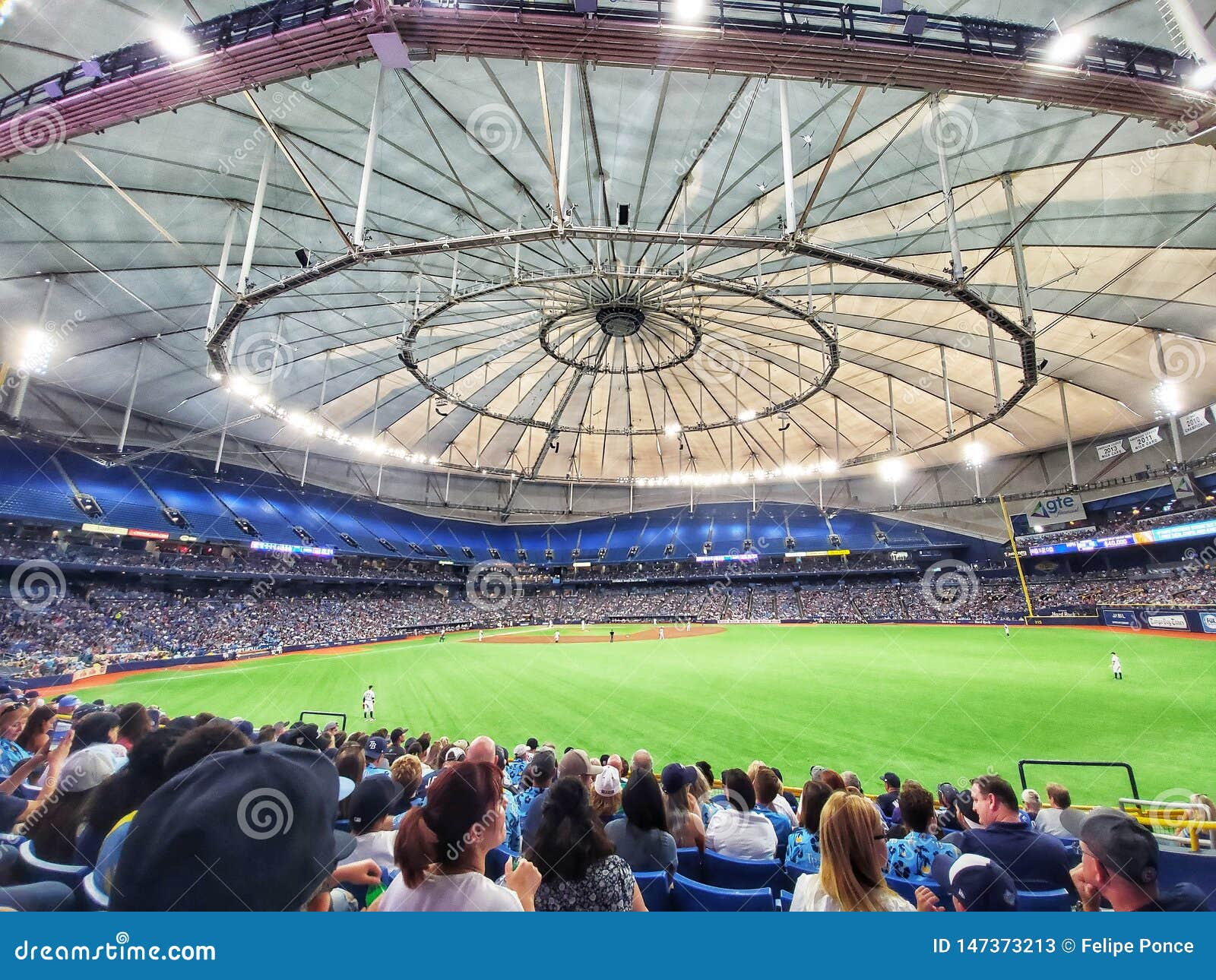 Baseball. Sports. Stadium. Tampa. Rays Editorial Stock Photo - Image of ...