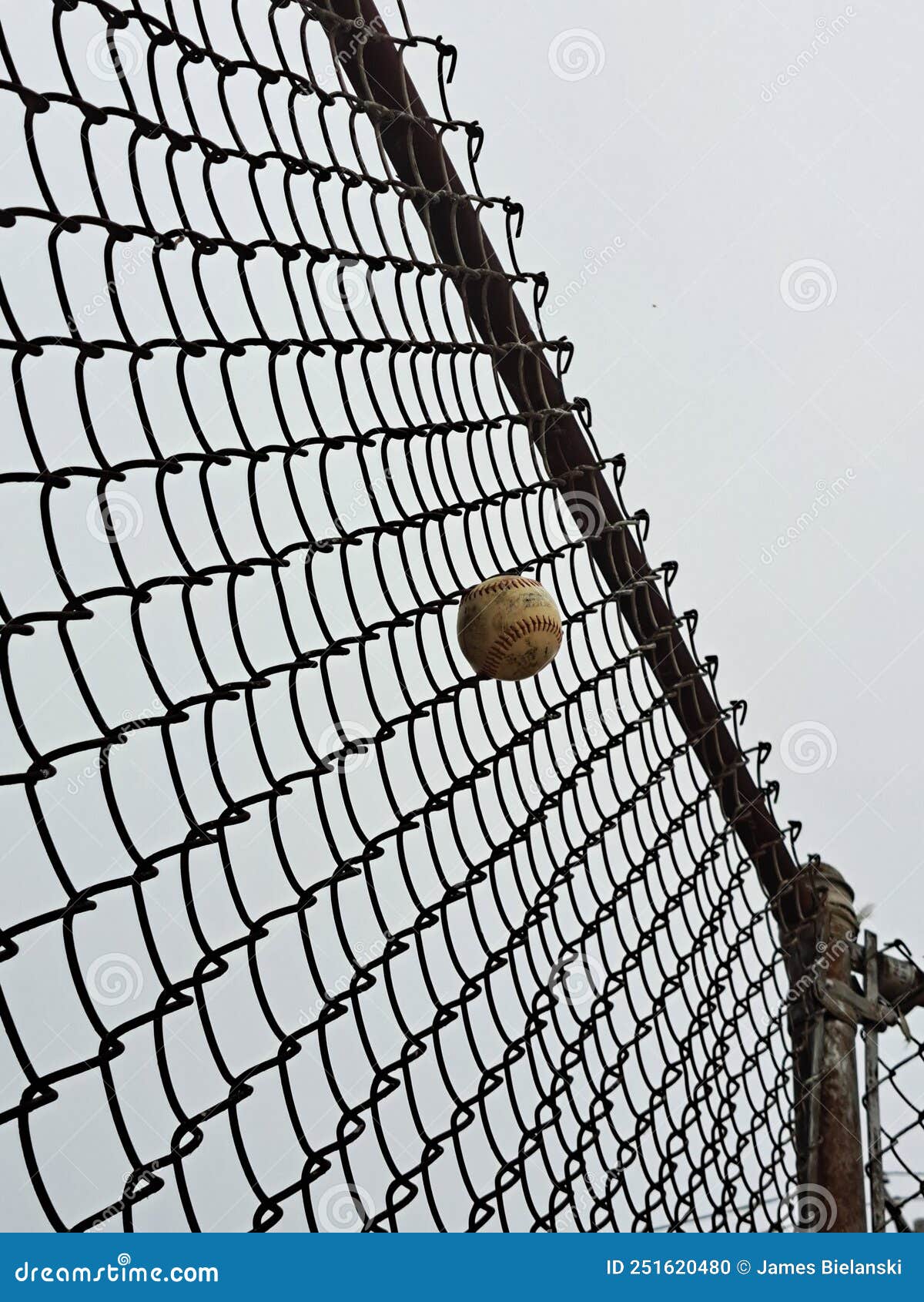 Baseball Stuck in Fence stock photo. Image of iron, sport - 251620480