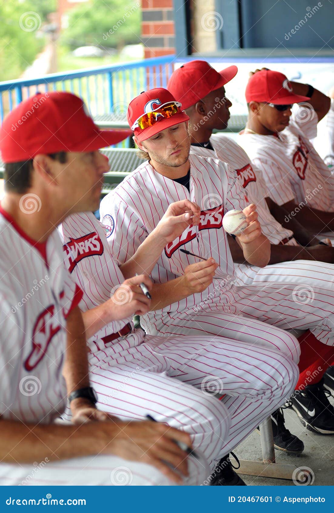 Baseball Team Autographs - Camden Riversharks Editorial Photo - Image ...