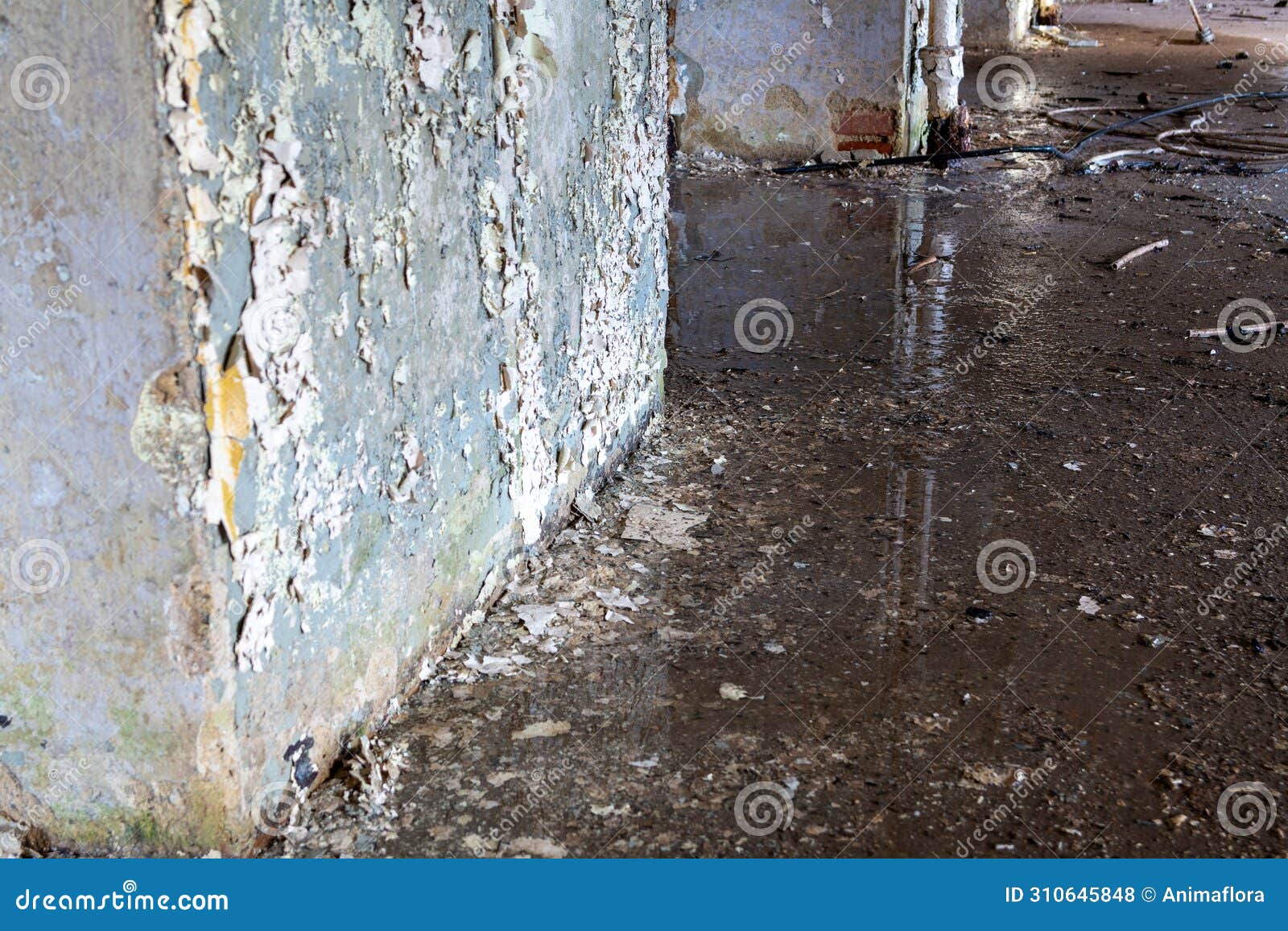 Basement after Flood Damage in the House Stock Photo - Image of danger ...
