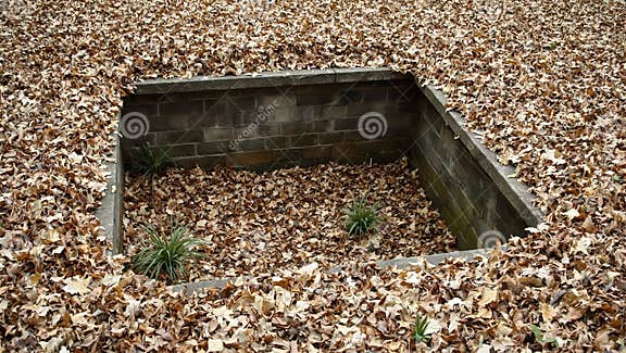 Basement Window Covered in Wet Leaves Blocking Light and Creating a ...