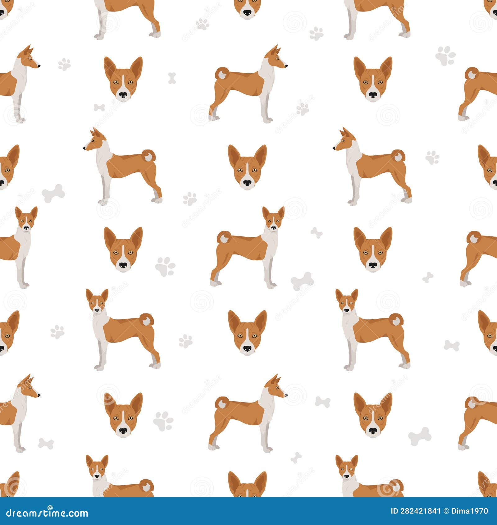Basenji All Colours Seamless Pattern. Different Coat Colors and Poses ...
