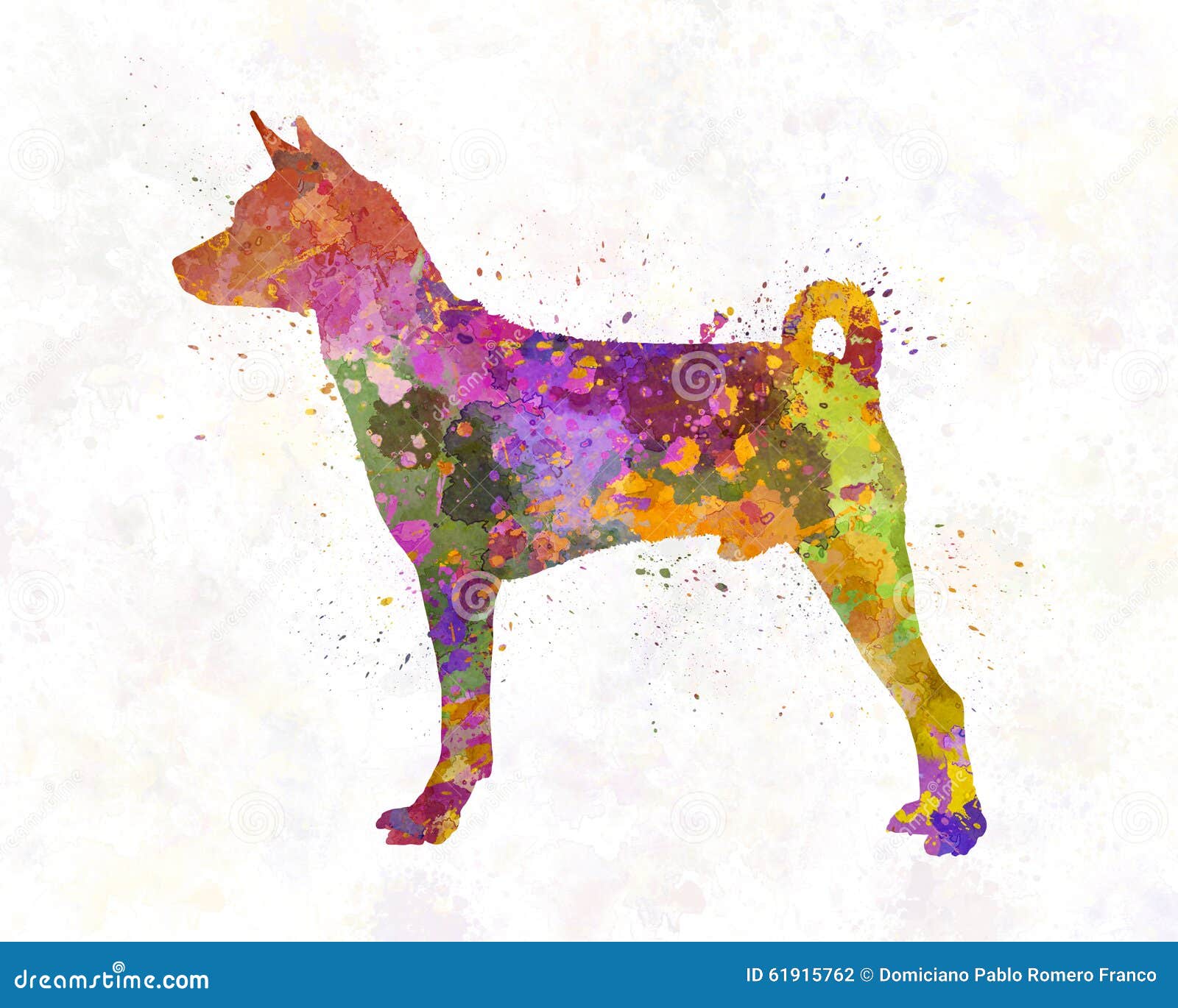 Basenji in watercolor stock illustration. Illustration of watercolor ...