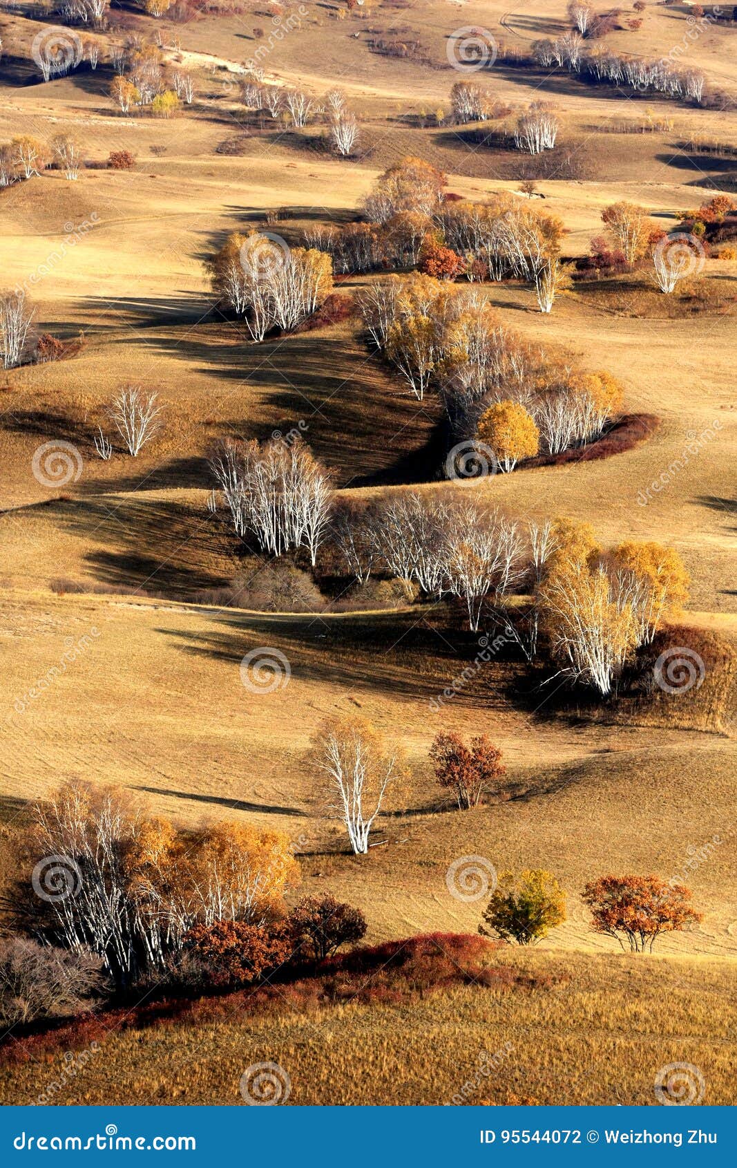 Landscape of Bashang Grasslands Stock Photo - Image of shangyi, 16000: ...