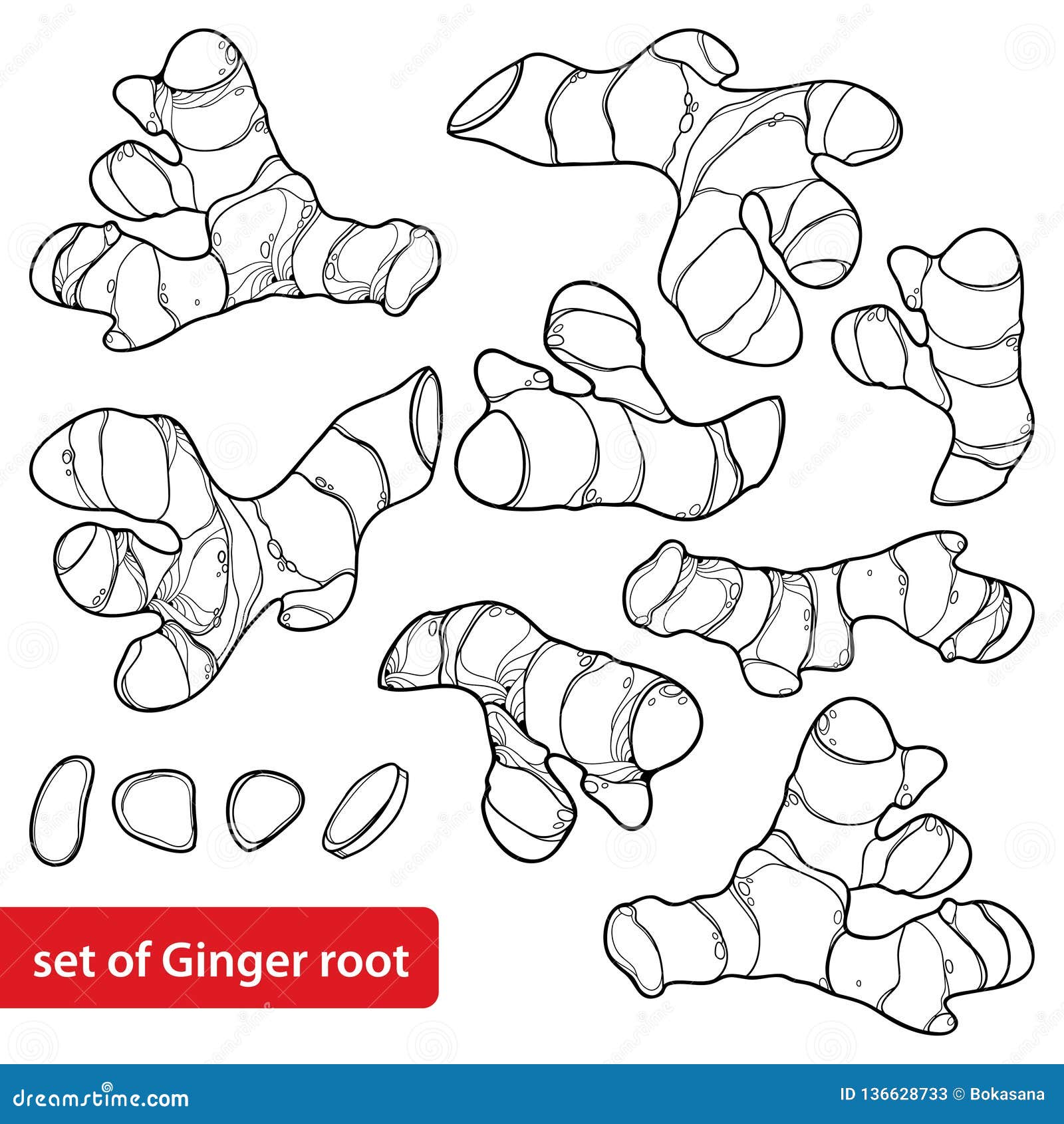 Vector Set of Outline Ginger Root with Slice in Black Isolated on White ...