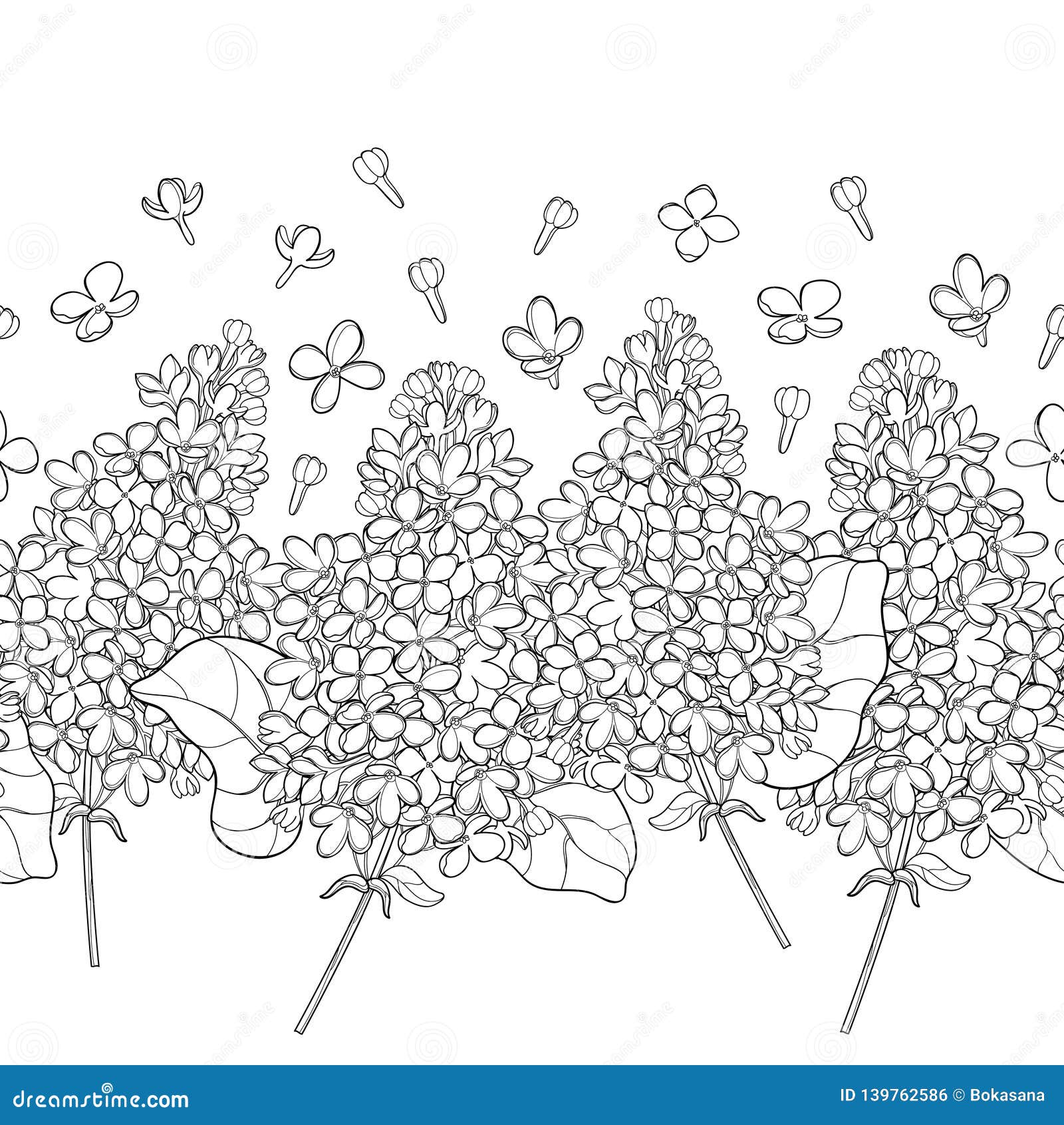 Vector Horizontal Seamless Pattern with Outline Lilac or Syringa Flower ...
