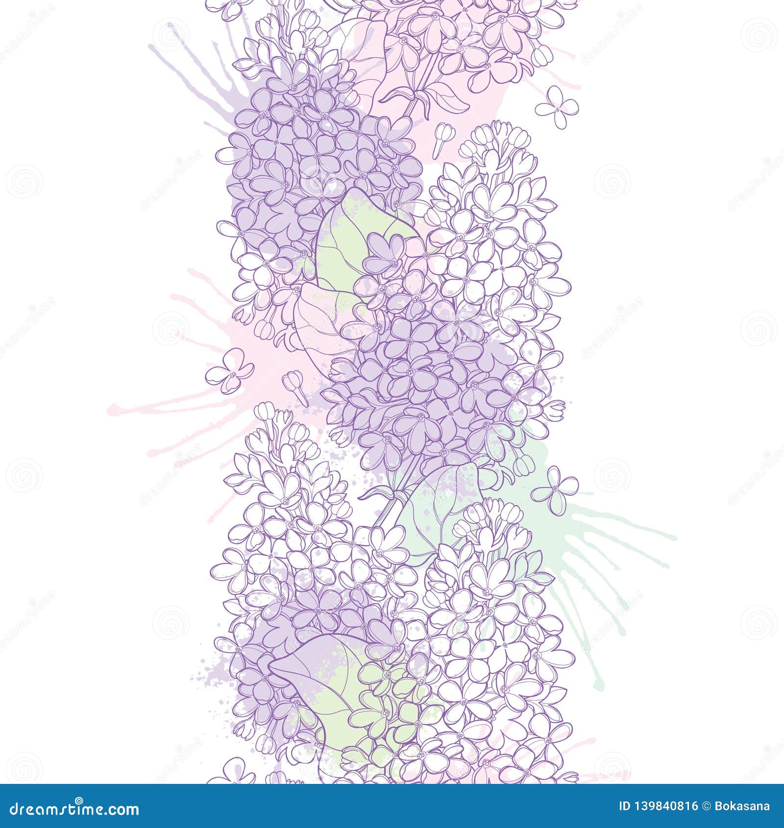 Lilac Or Syringa Flowers With Showy Blossom Isolated On White ...