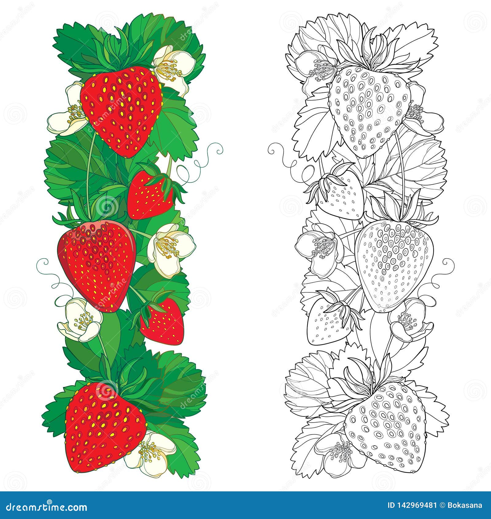 Strawberry Plant Outline