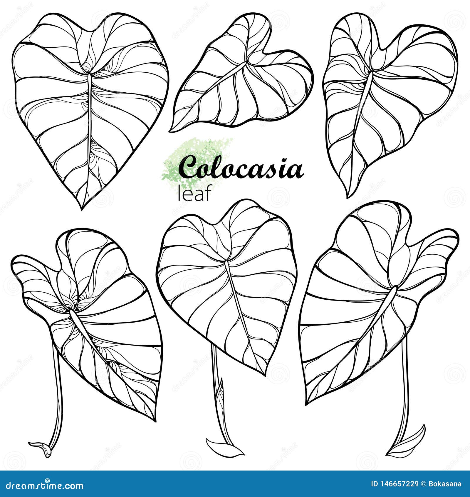 Taro Cartoons, Illustrations & Vector Stock Images - 3200 Pictures to ...