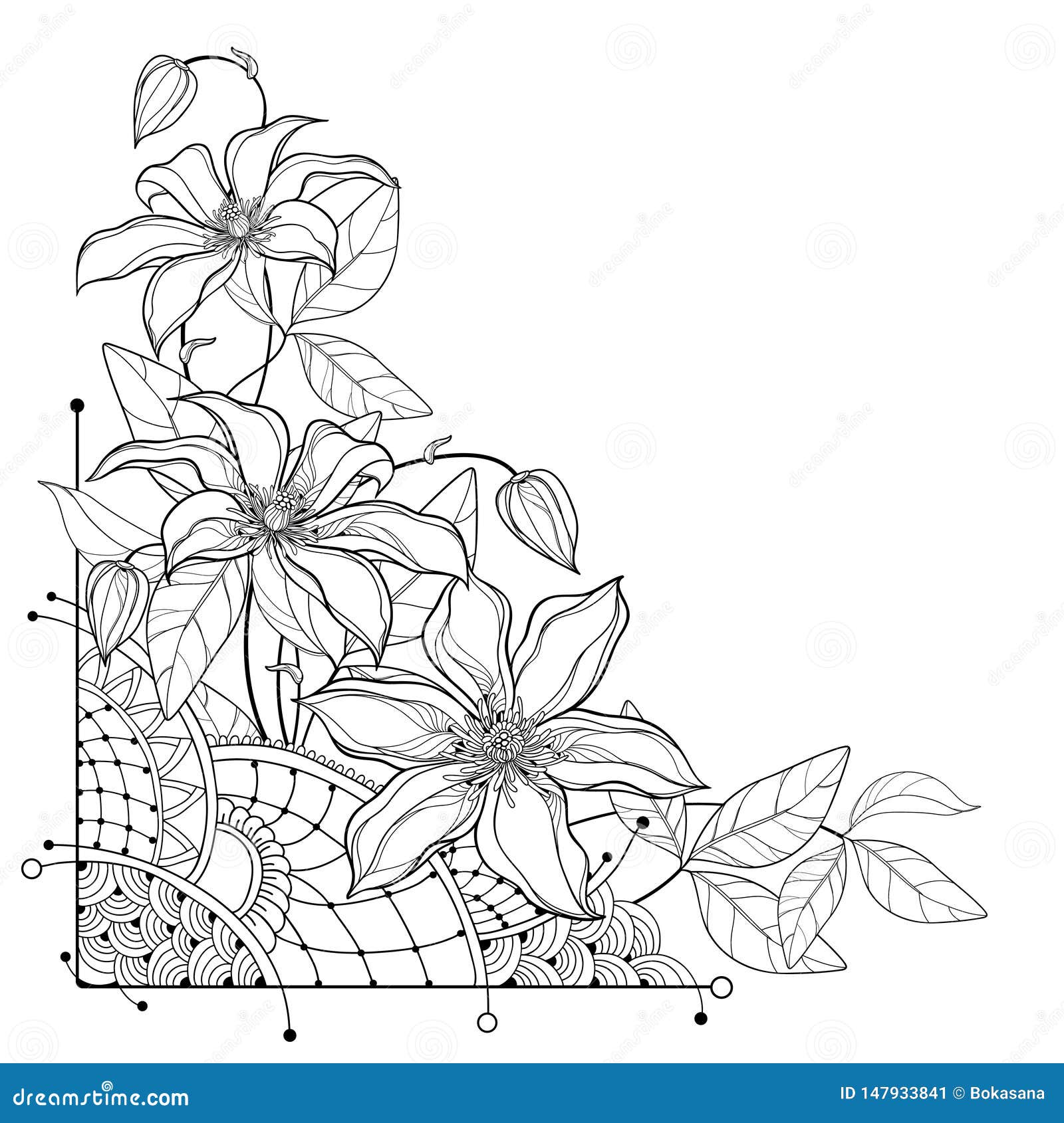 Vector Corner Bouquet with Outline Clematis or Traveller`s Joy Ornate ...