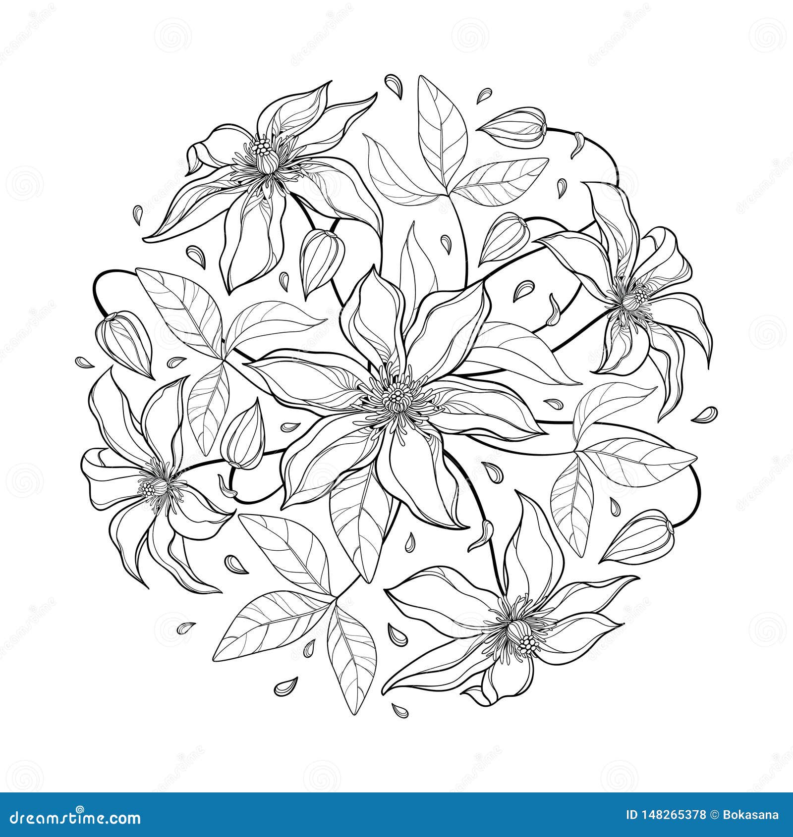 Vector Round Bouquet with Outline Clematis or Traveller`s Joy Ornate ...