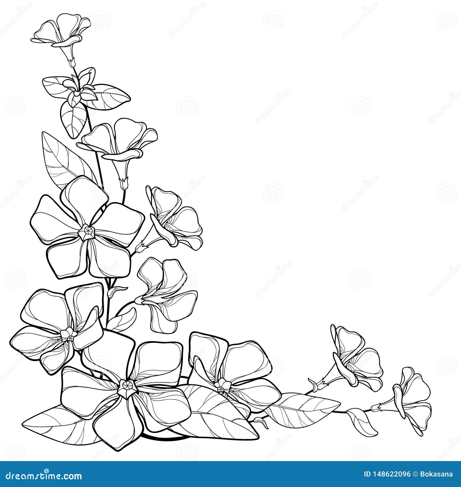 Vector Corner Bouquet of Outline Periwinkle or Vinca Flower Bunch and ...