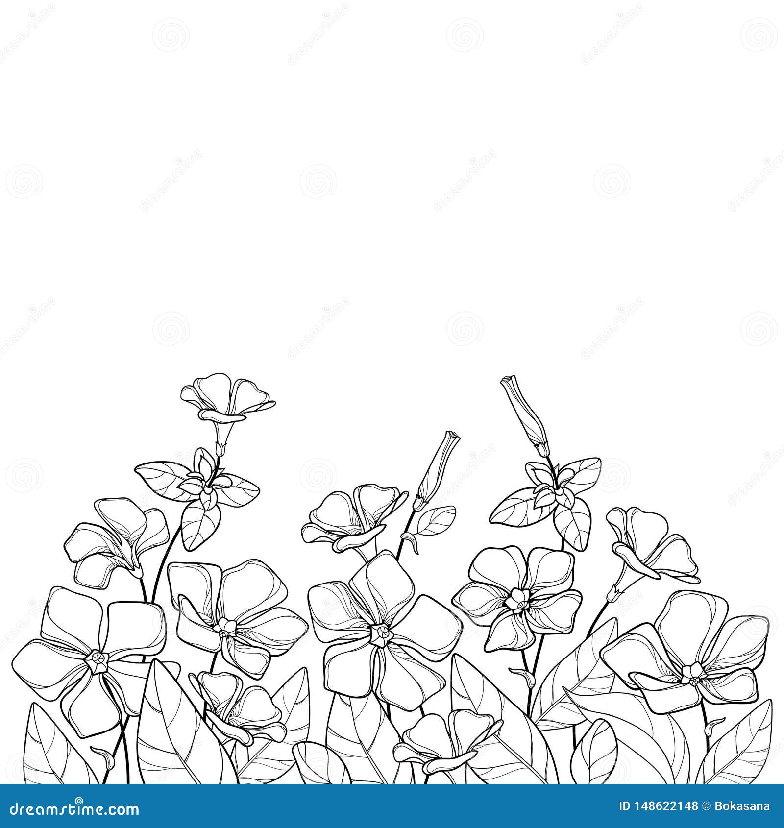 Outline Periwinkle Drawing, Periwinkle Flower Line Drawing, Clip Art ...