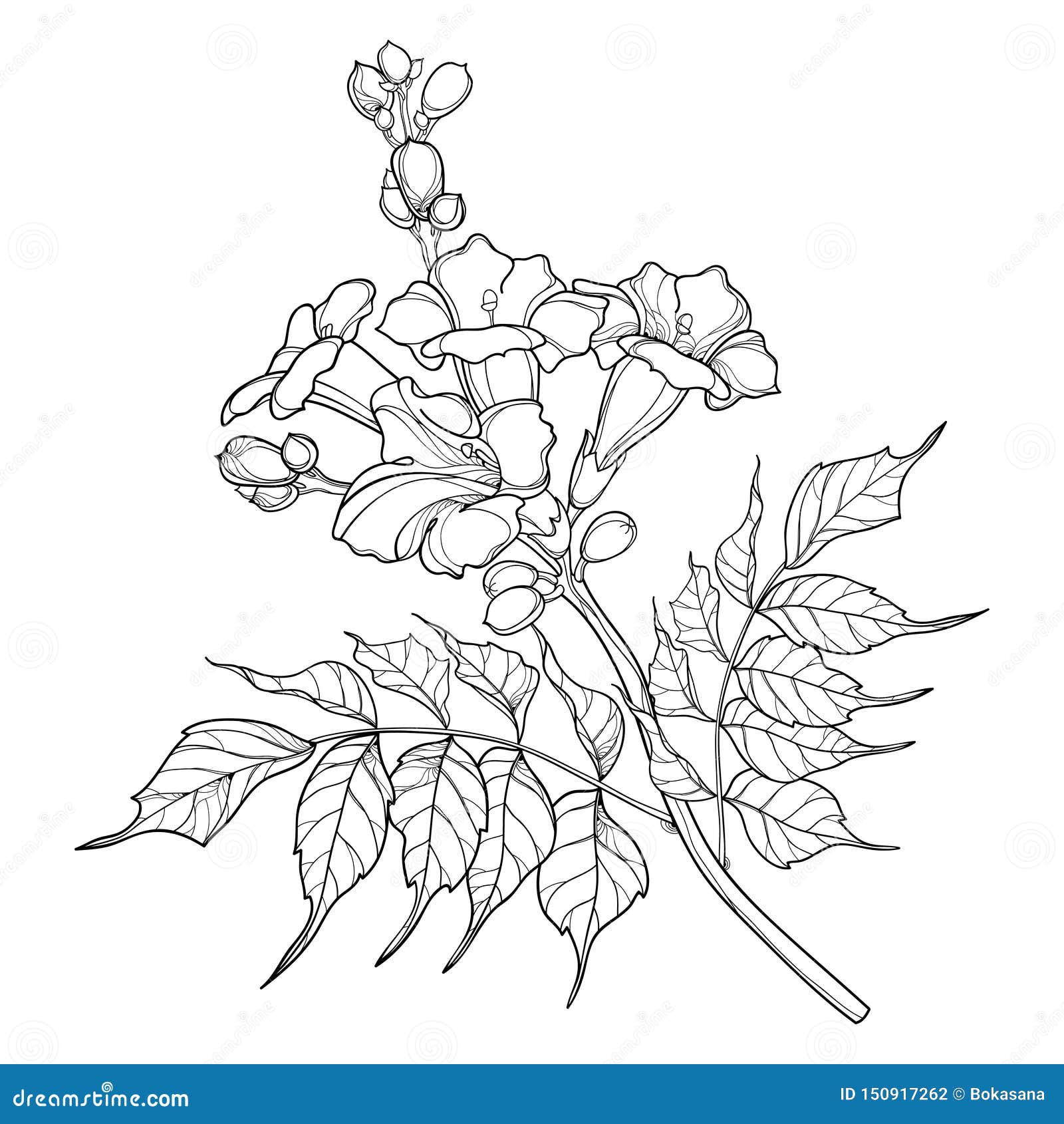 Trumpet Vine Flower Vector Repeat Pattern | CartoonDealer.com #186061842