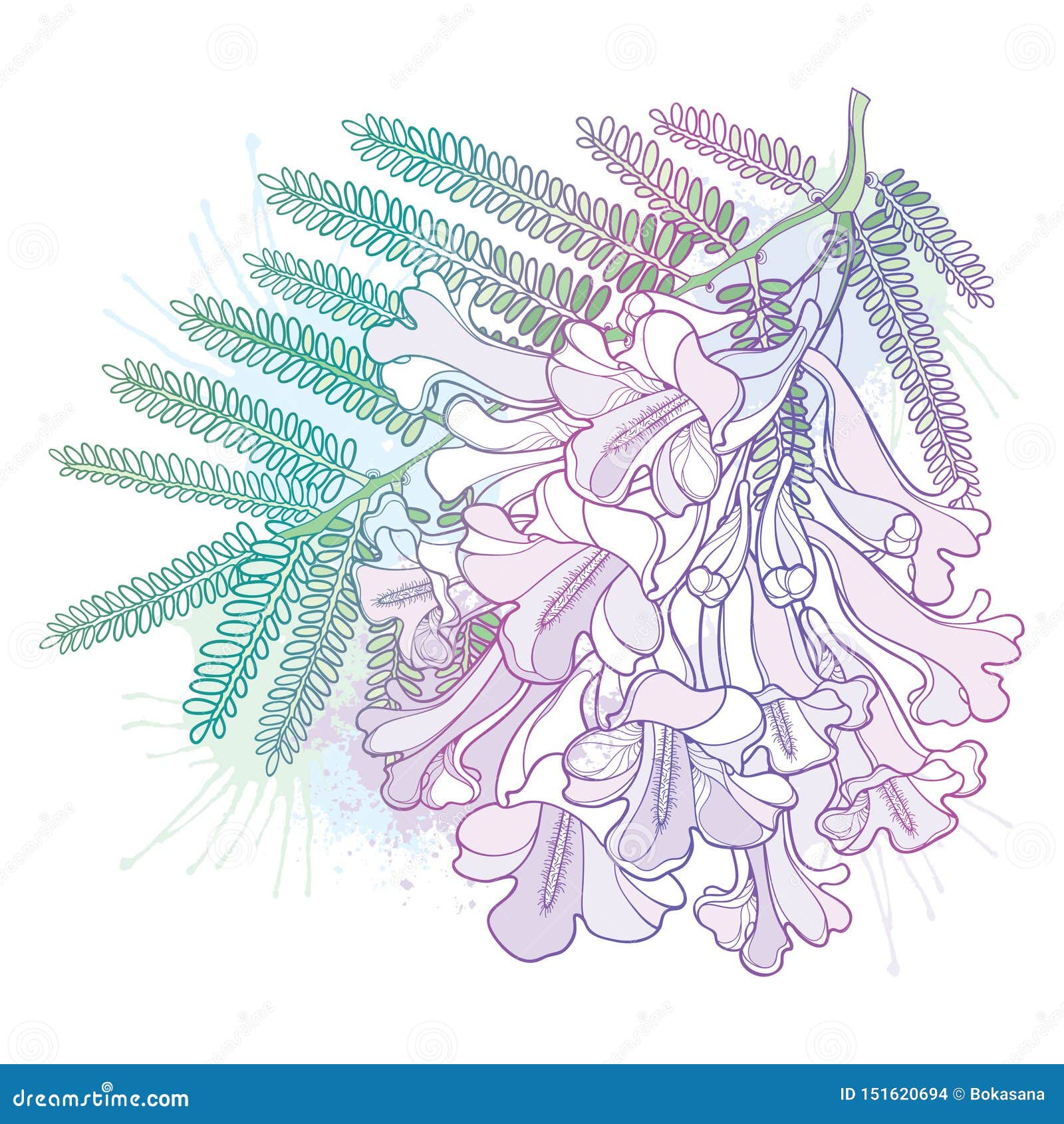 Jacaranda Cartoons, Illustrations & Vector Stock Images - 943 Pictures ...