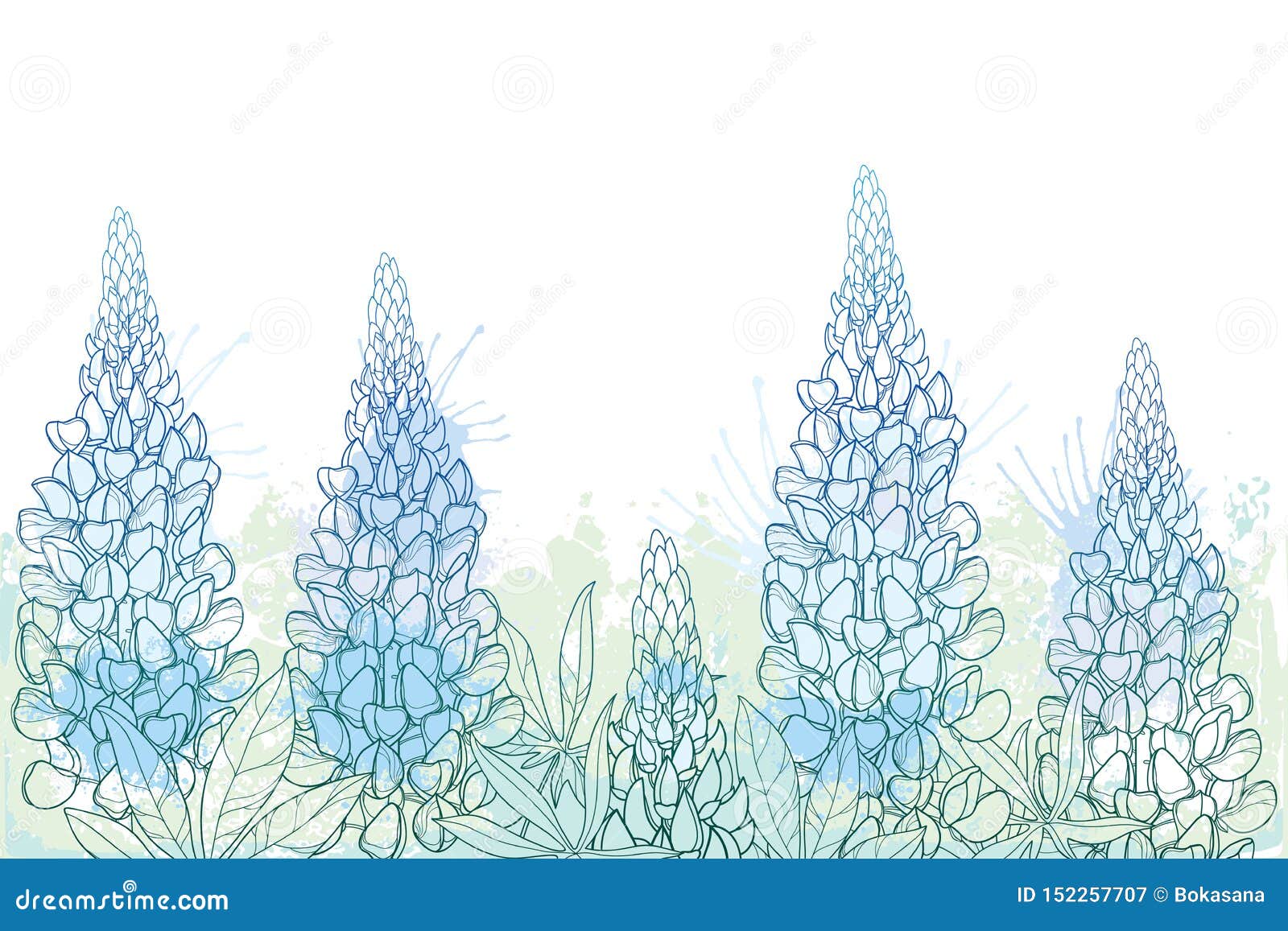 Bluebonnet Flower Vector Illustration Transparent Background ...