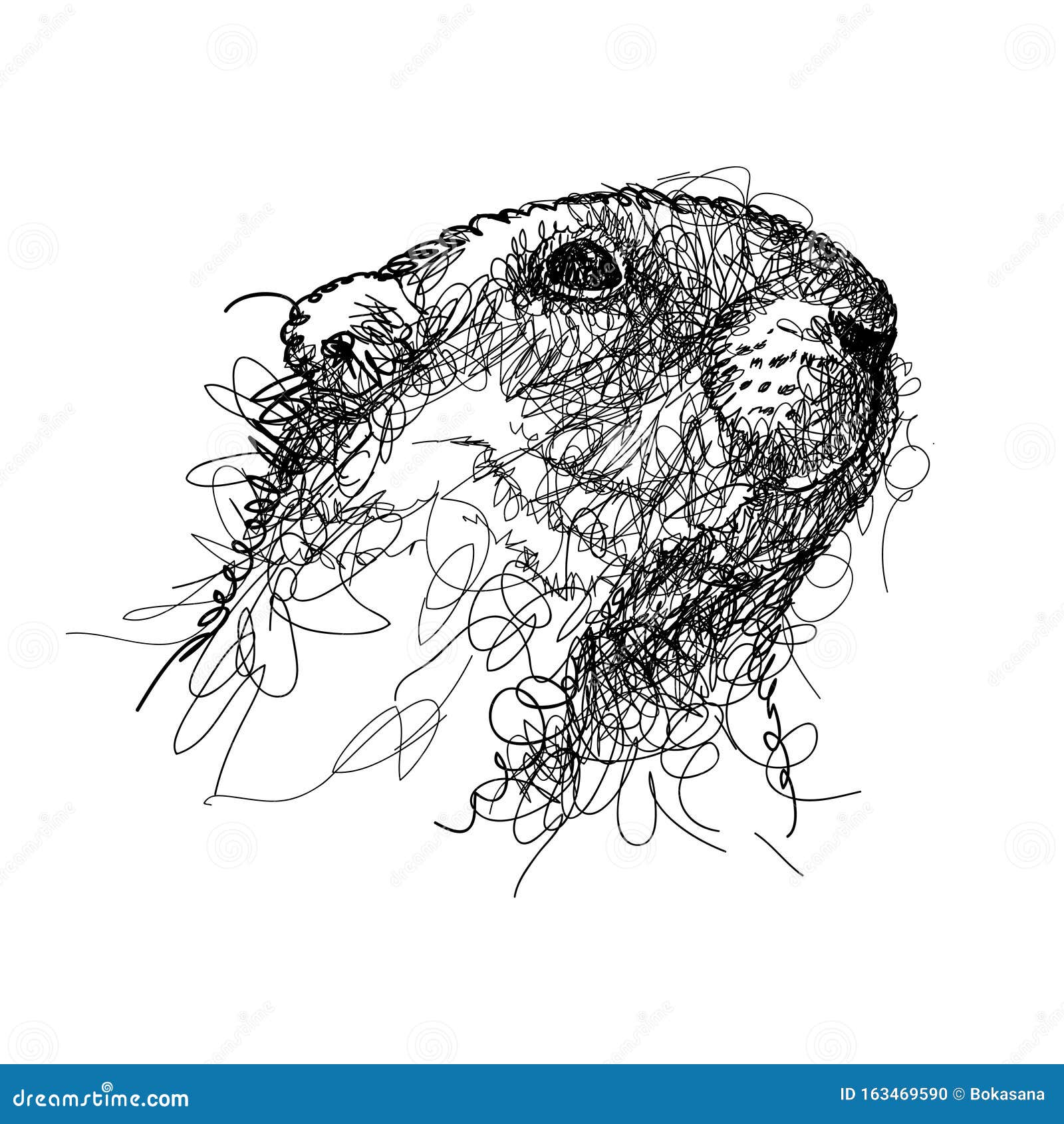 Groundhog Sad. Woodchuck Sorrowful Emotions. Marmot Dull. Ground ...