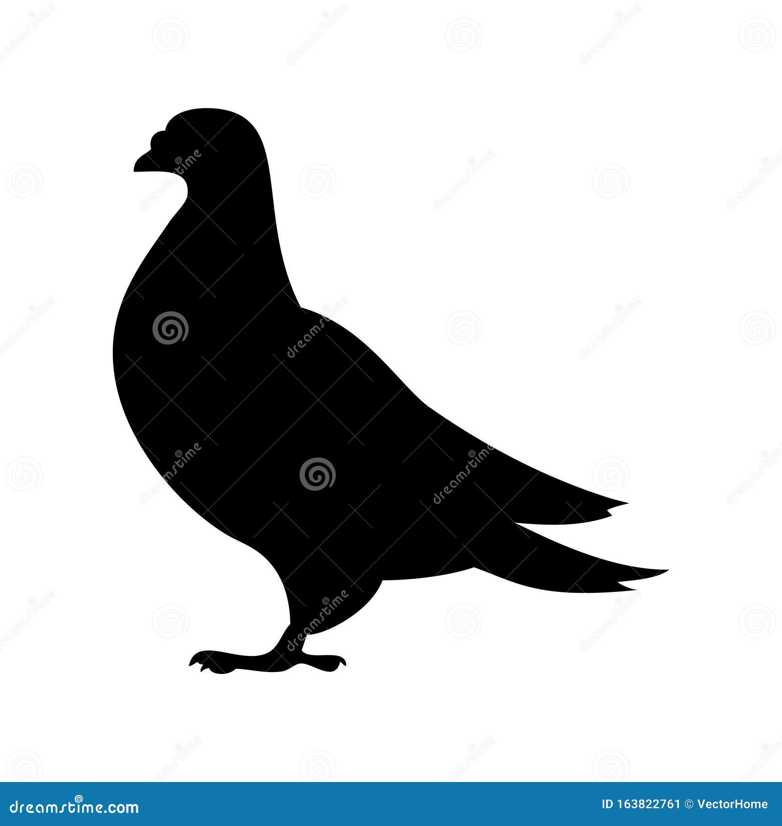 Pigeon Icon, Vector Line Illustration Stock Vector - Illustration of ...