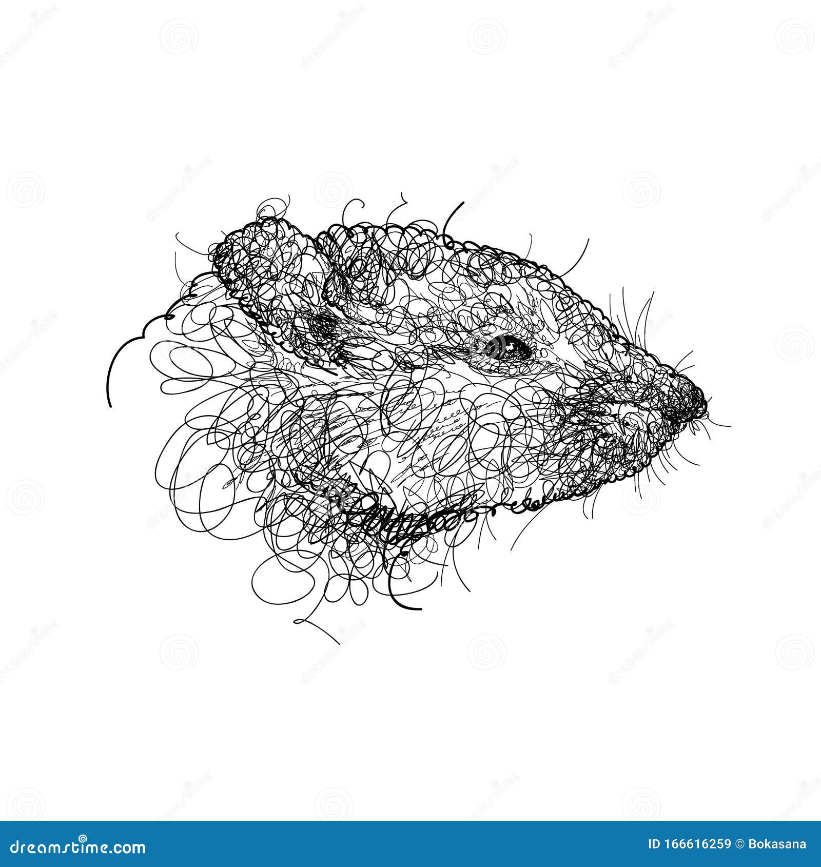 Vector Scribble or Scrawl Black Rat Head Isolated on White Background ...