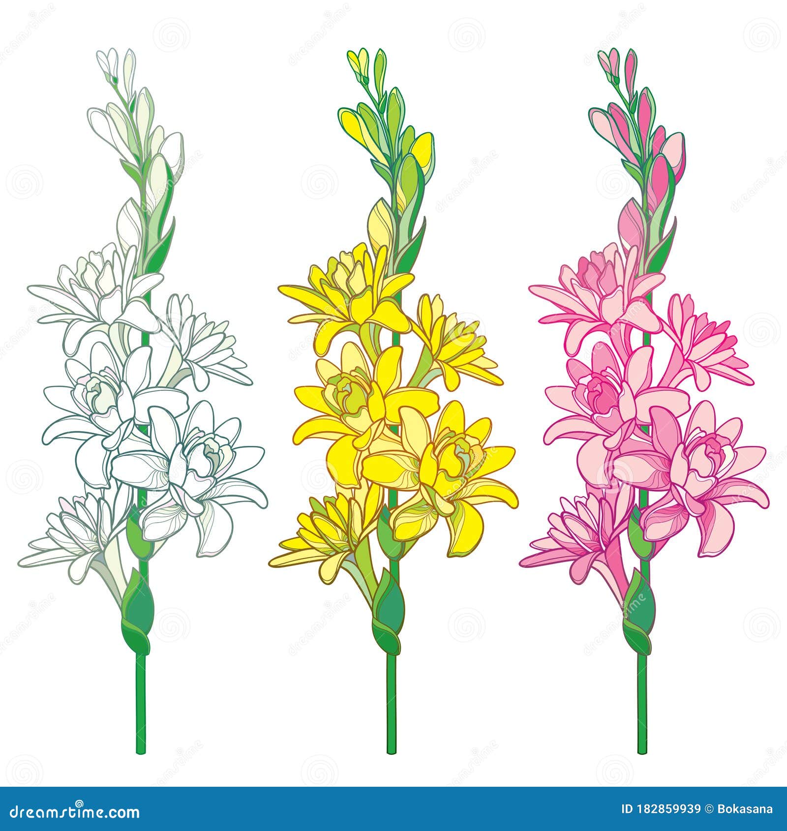 Amica Cartoons, Illustrations & Vector Stock Images - 27 Pictures to ...