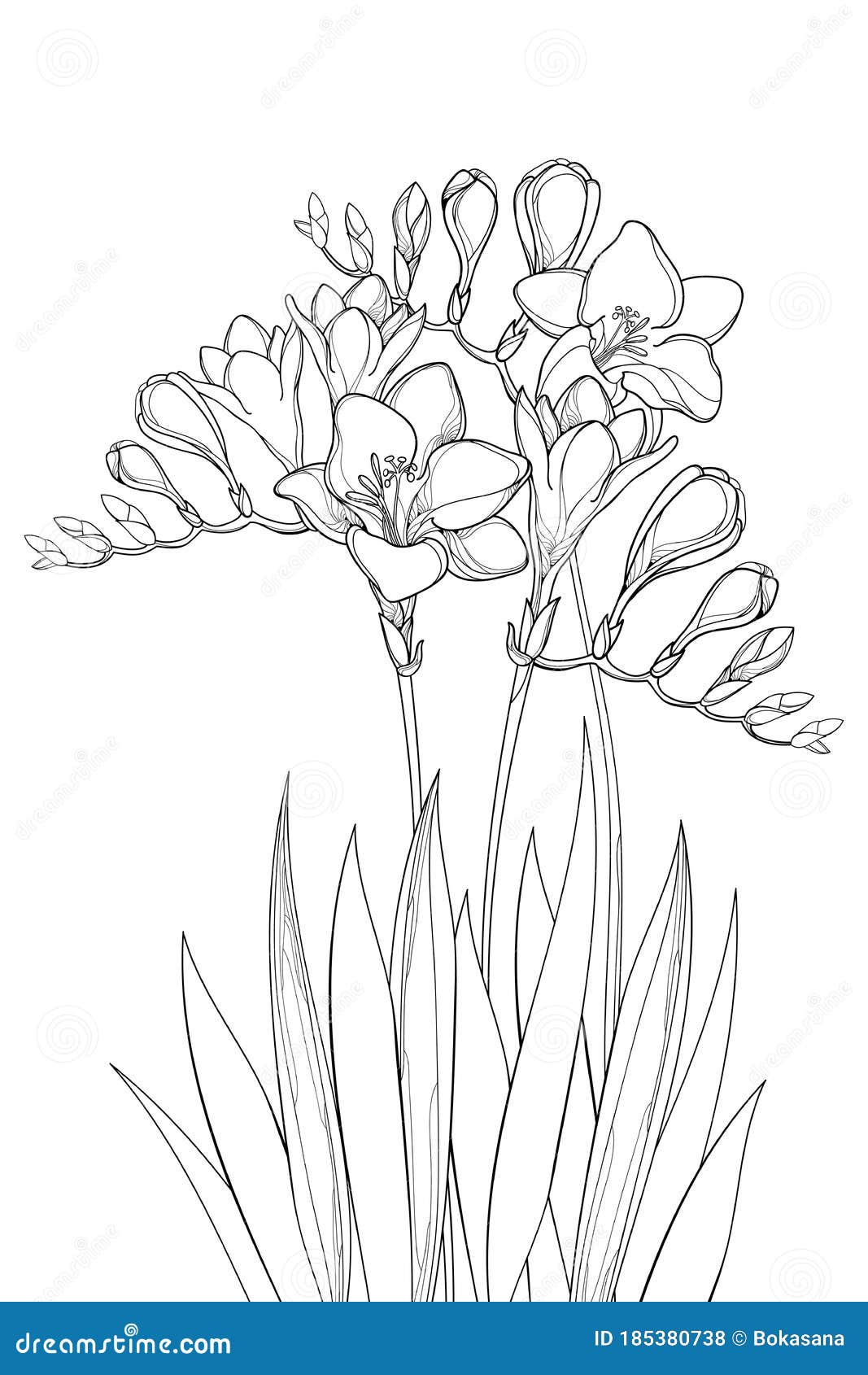 Vector Bouquet of Outline Freesia Flower, Ornate Bud and Leaves in ...