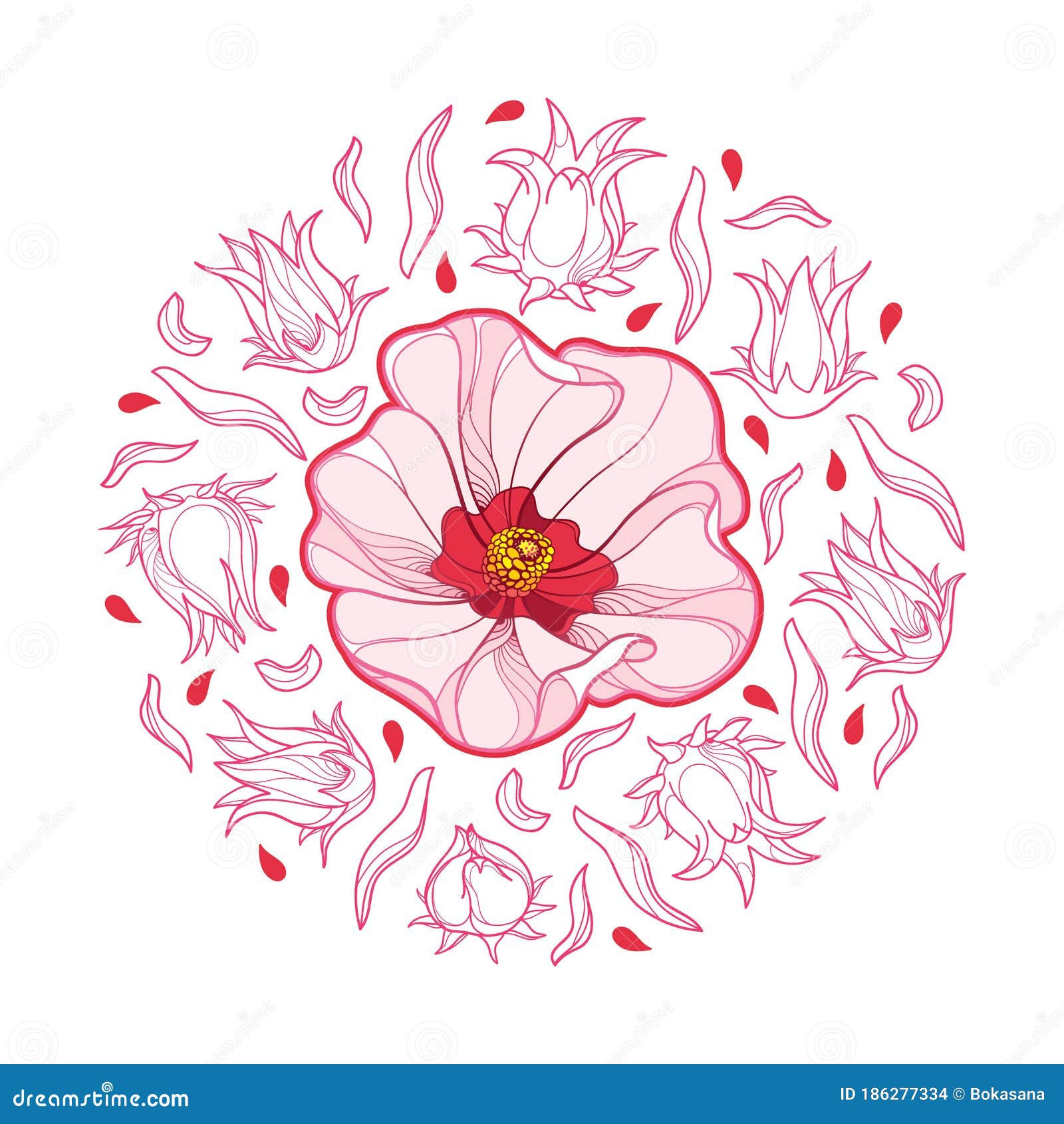 Vector Round Bunch of Outline Roselle or Hibiscus Sabdariffa or Carcade ...