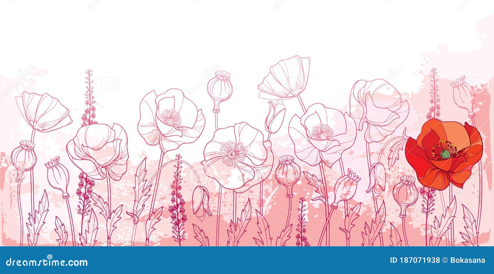 Vector Field with Outline Poppy Flower, Bud, Leaves and Seed Pod in ...