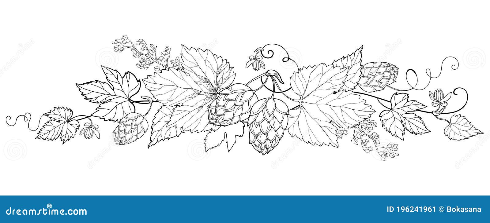 Vector Bunch of Outline Hop with Leaf and Ornate Cones in Black ...