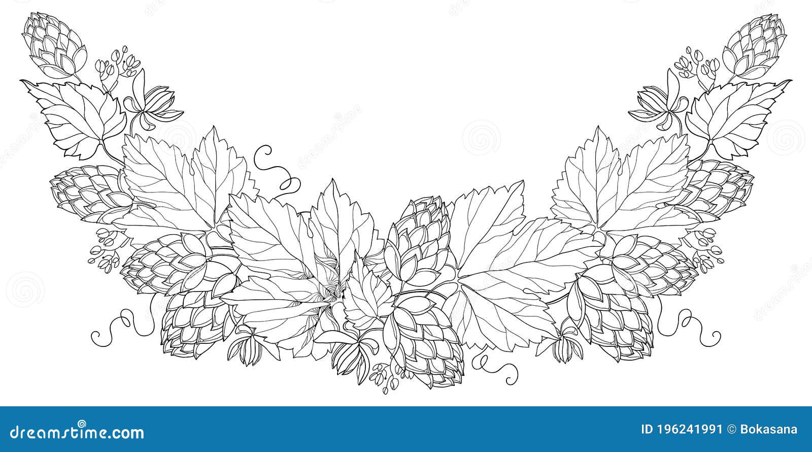 Vector Round Bunch Of Outline Hop With Leaf, Cones And Flower In Black ...