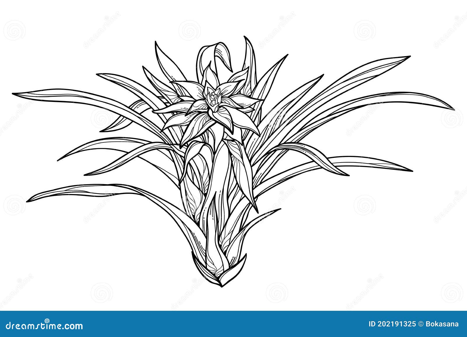 Epiphyte Cartoons, Illustrations & Vector Stock Images - 409 Pictures ...