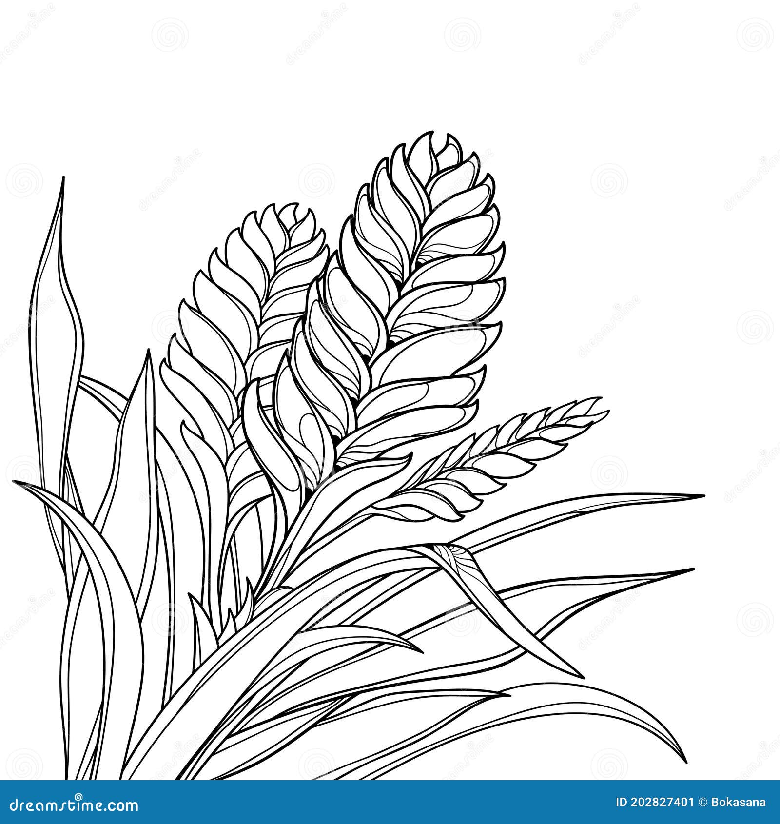 Epiphyte Cartoons, Illustrations & Vector Stock Images - 409 Pictures ...