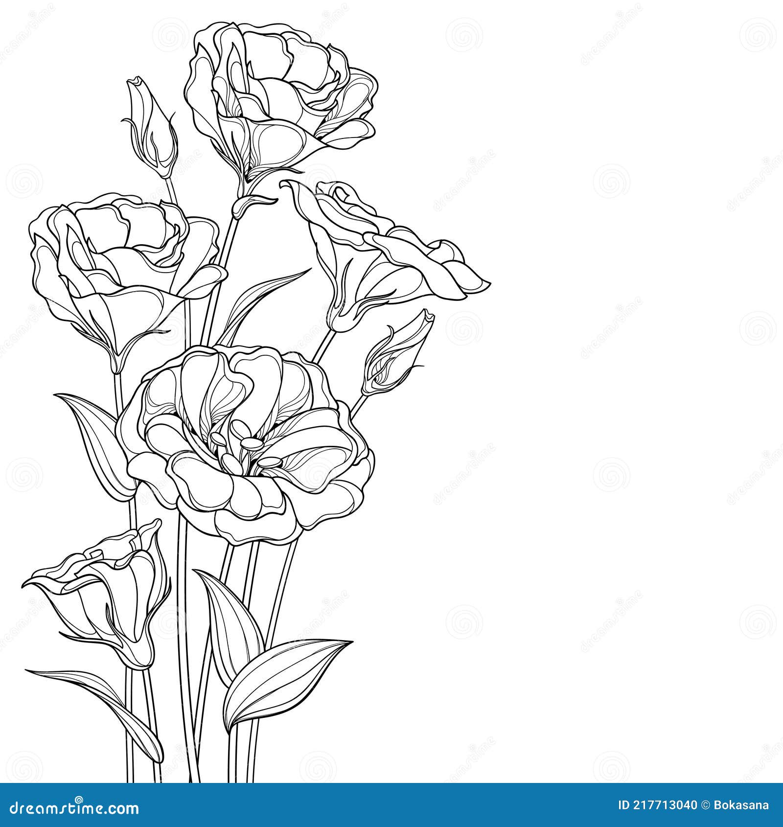 Lisianthus Flower Drawing And Sketch. Vector Illustration ...