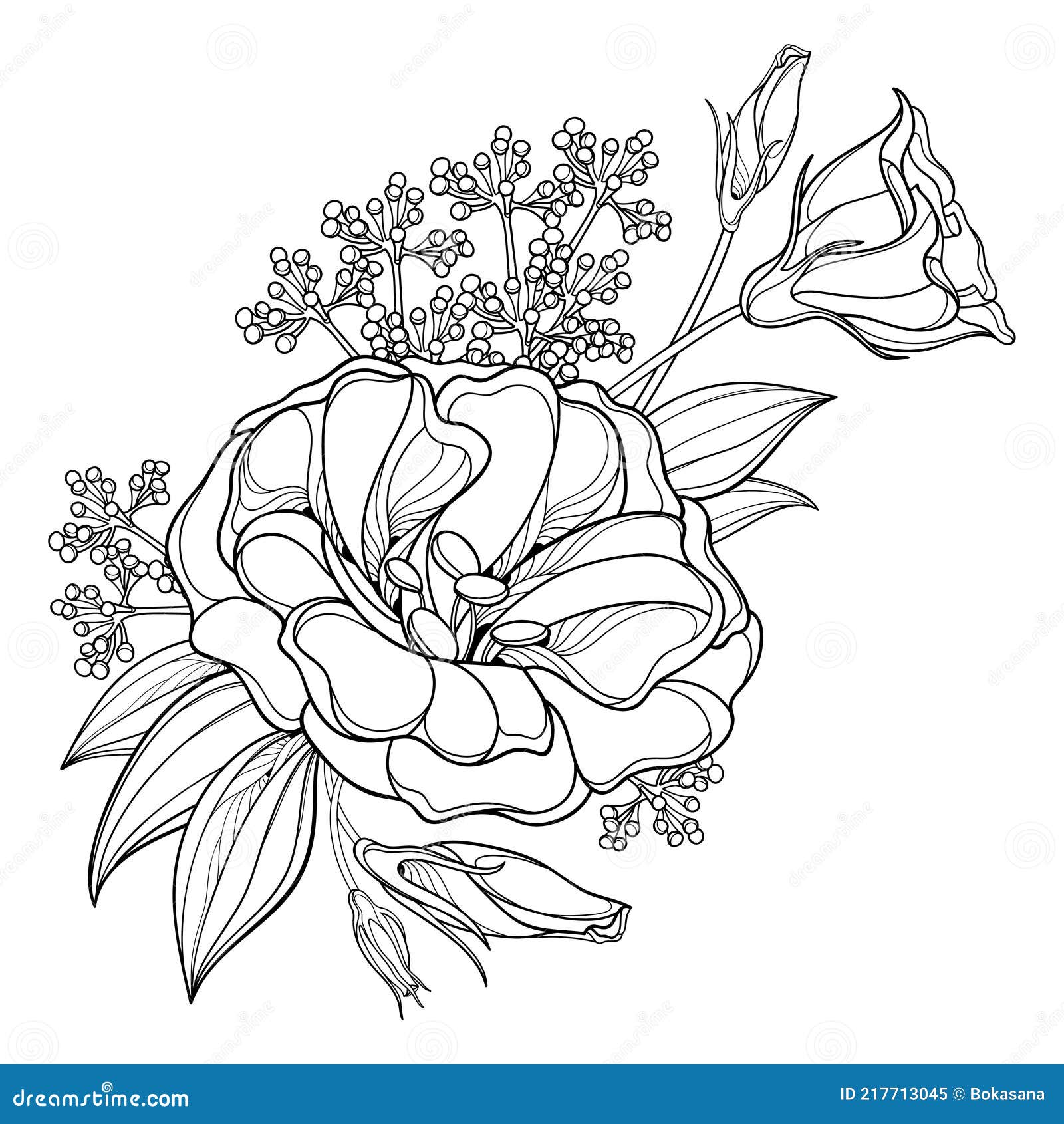 Lisianthus Flower Drawing And Sketch. Vector Illustration ...