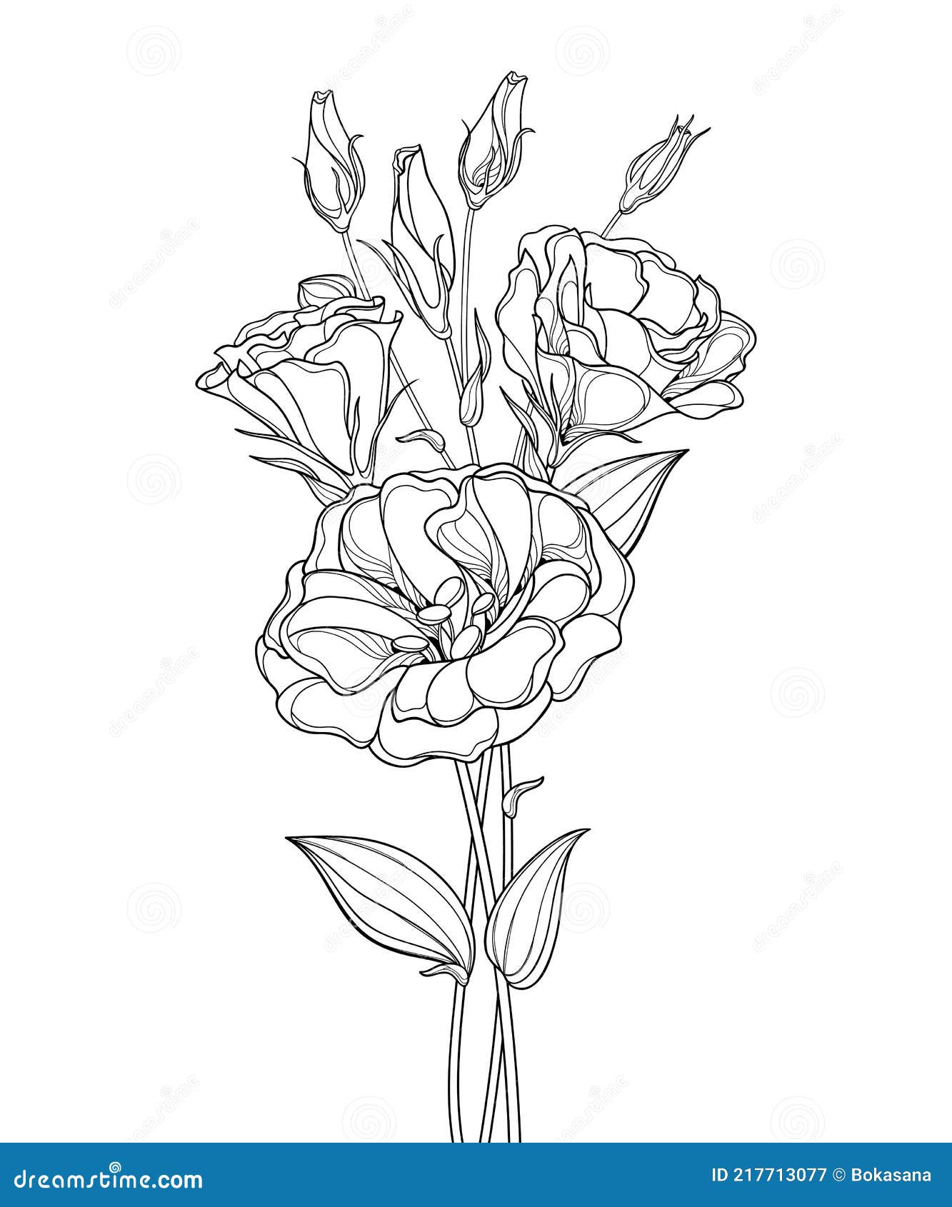 Lisianthus Flower Drawing And Sketch. Vector Illustration ...