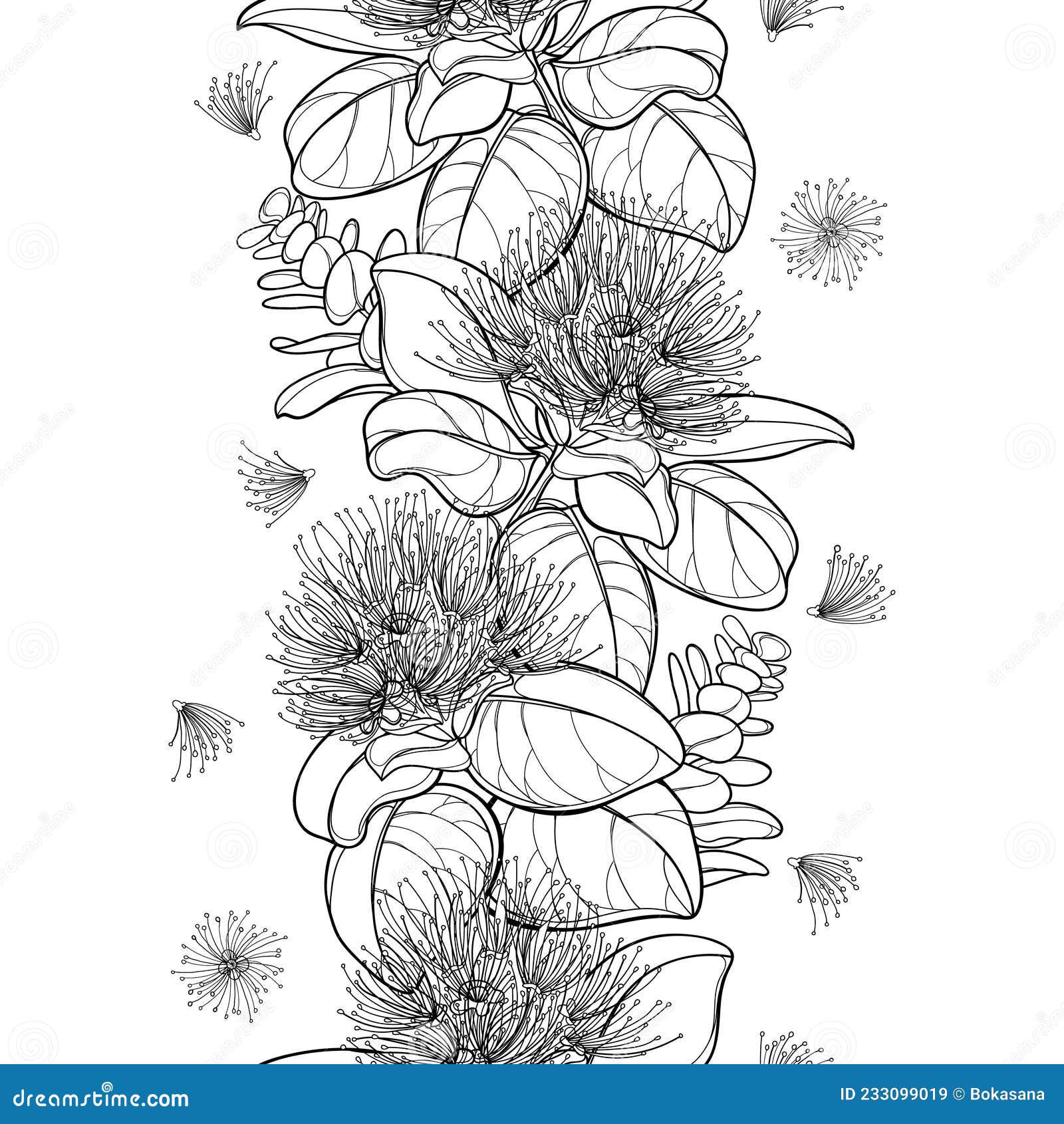 Pohutukawa Flower Sketch. Drawing Illustration. Pohutukawa - New ... Pohutukawa Flower Sketch. Drawing Illustration. Pohutukawa - New ...