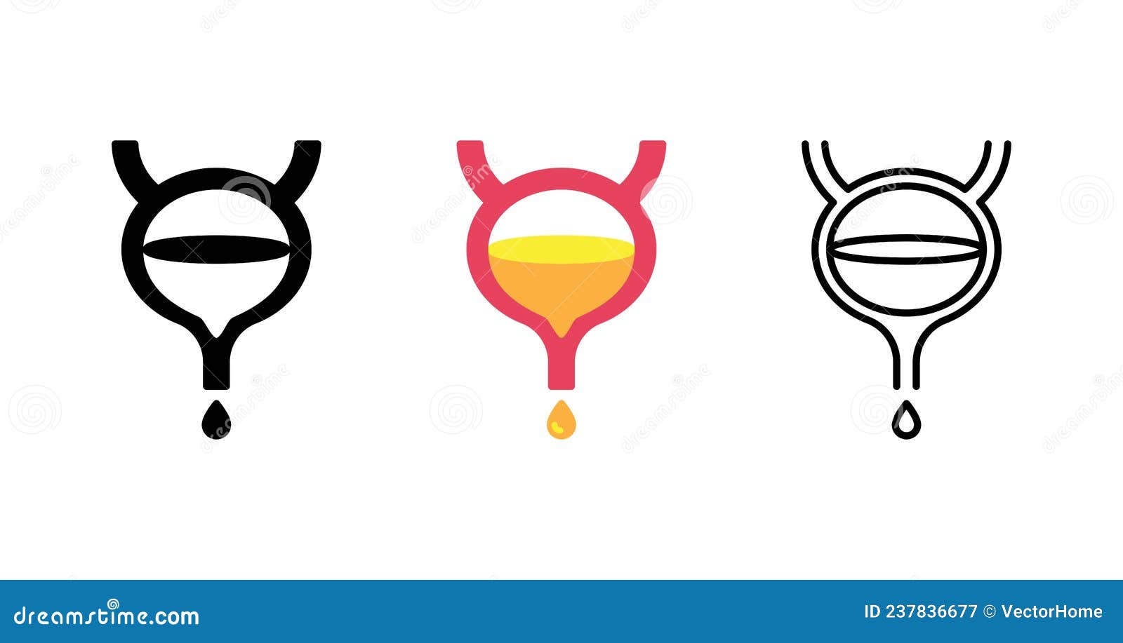 Set of Urinary Bladder Icon , Vector , Line Color Vector Illustration ...