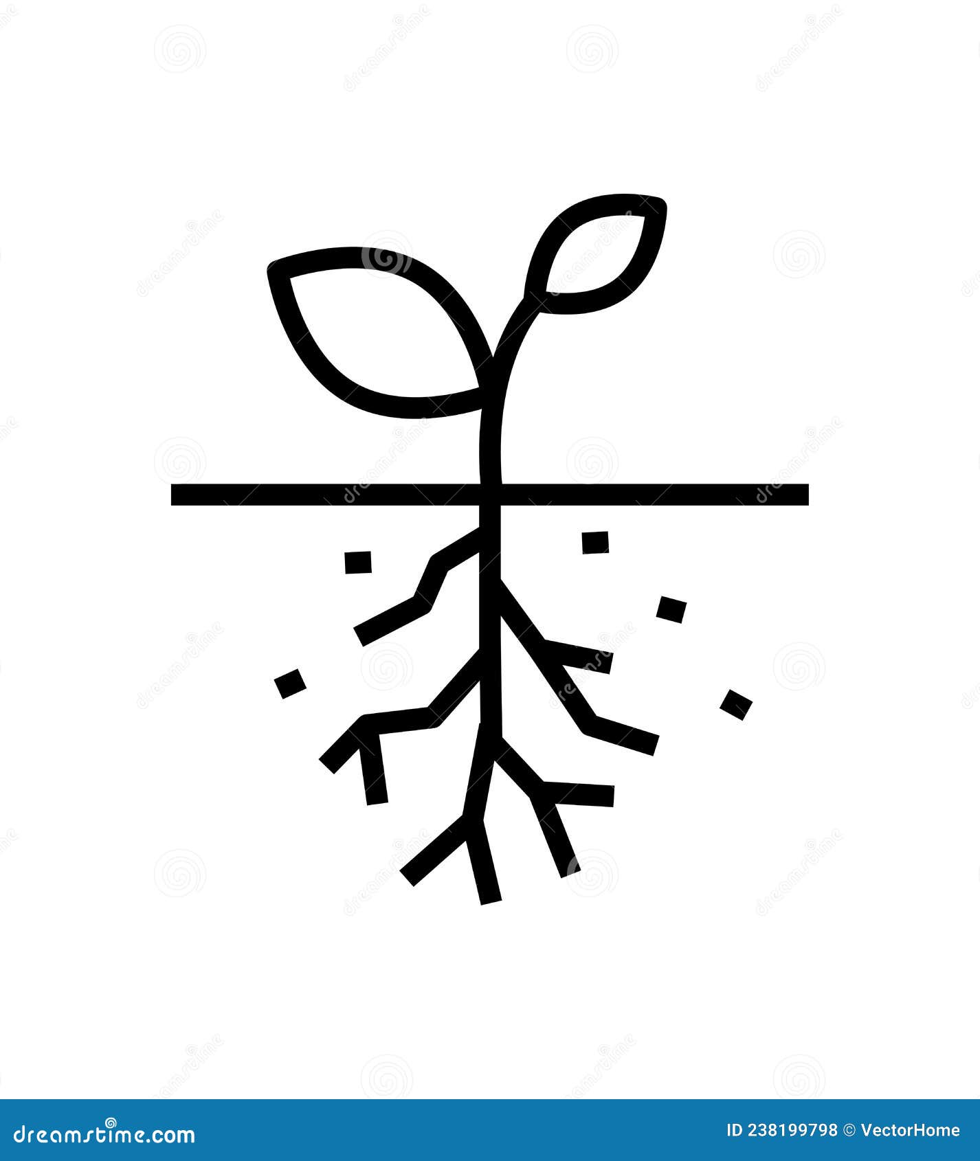 Root Icon , Vector Illustration, Line Color Vector Illustration Stock ...