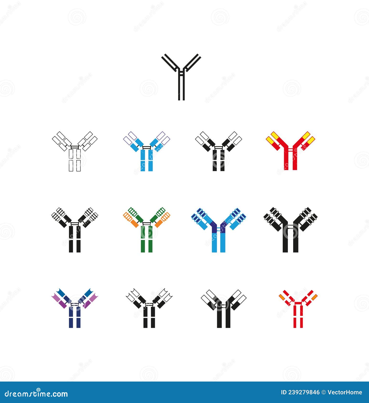 Antibody Icon. Types Of Antibodies And Immunoglobulin Structures ...