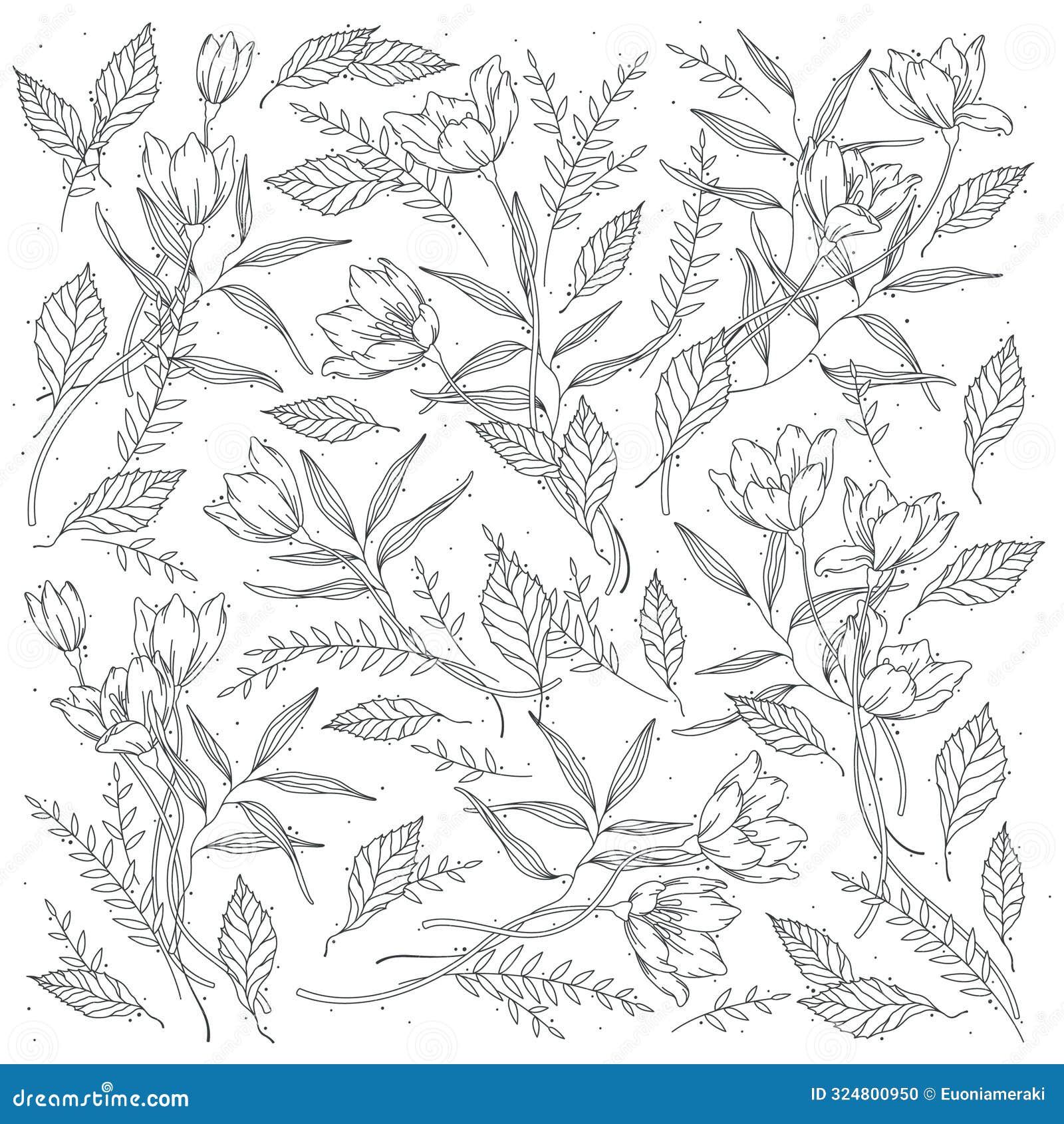 Hand-drawn Wild Flower Line Illustration Decorative Botanical Floral ...
