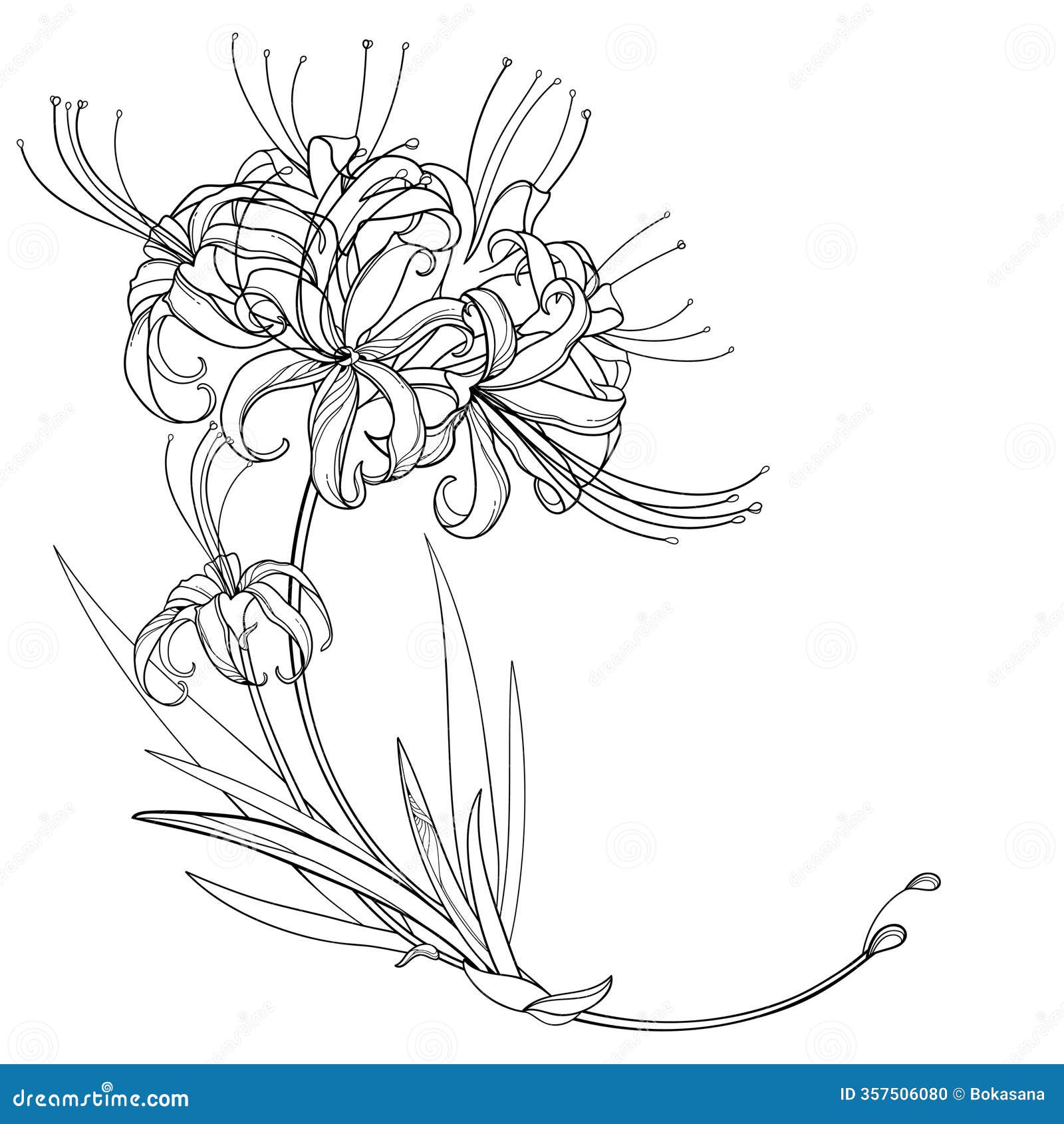 Lycoris Cartoons, Illustrations & Vector Stock Images - 429 Pictures to ...