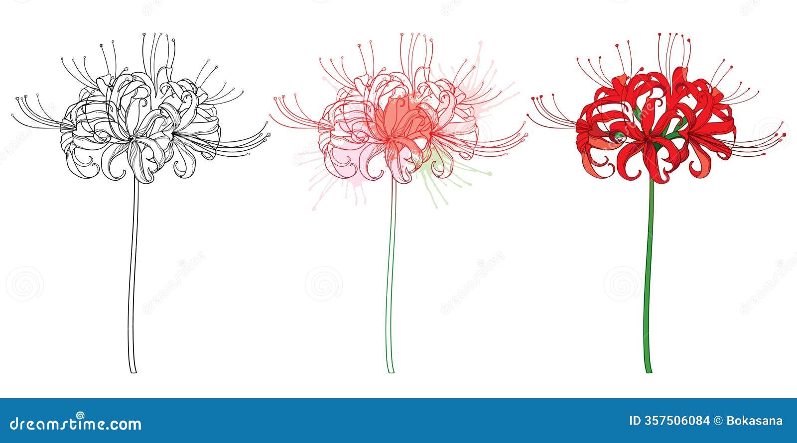 Lycoris Cartoons, Illustrations & Vector Stock Images - 429 Pictures to ...