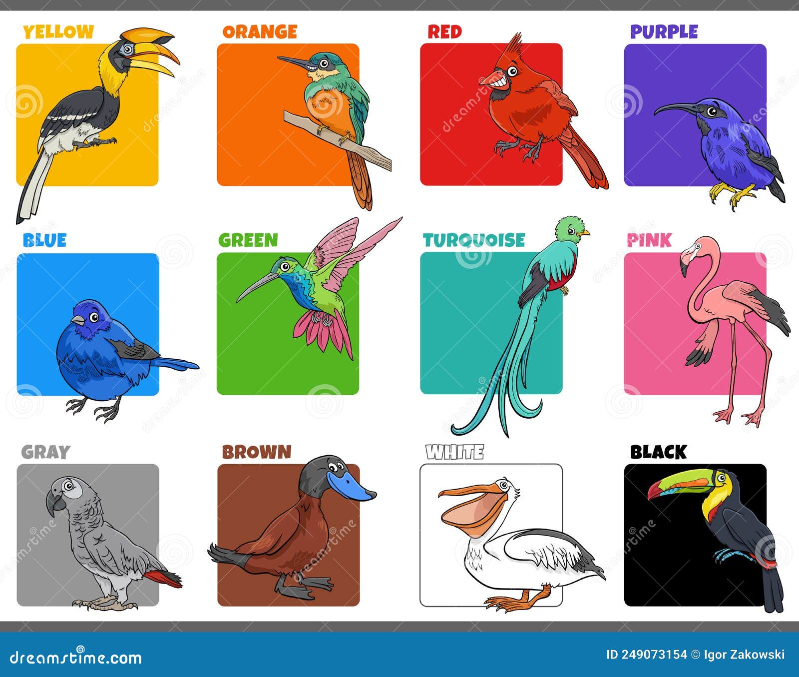 Basic Animal Groups And Biological Educational Zoology Scheme Vector ...