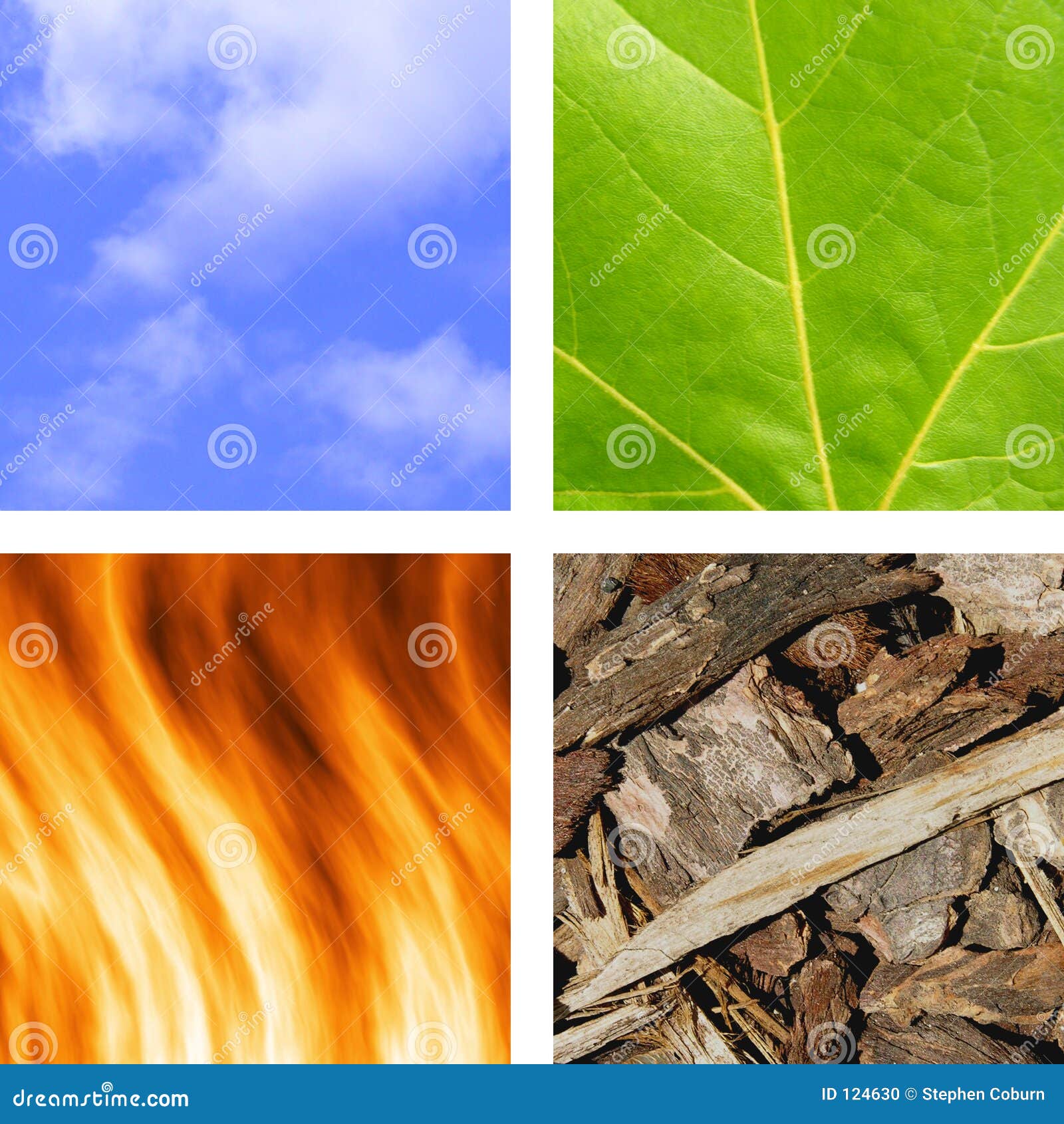 The Basic Elements stock photo. Image of earth, tree, nature - 124630