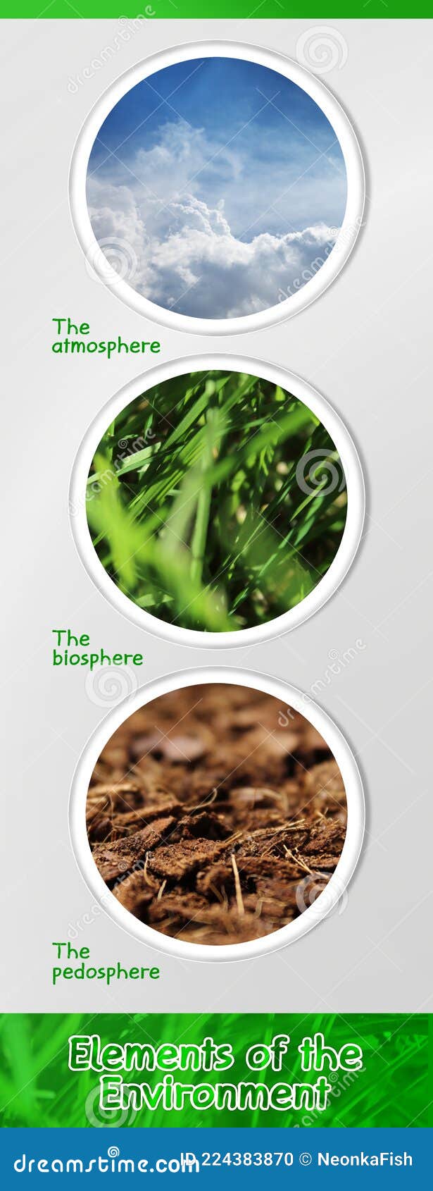 Basic Environment Elements: Air, Green Plants, Soil, Transparent ...