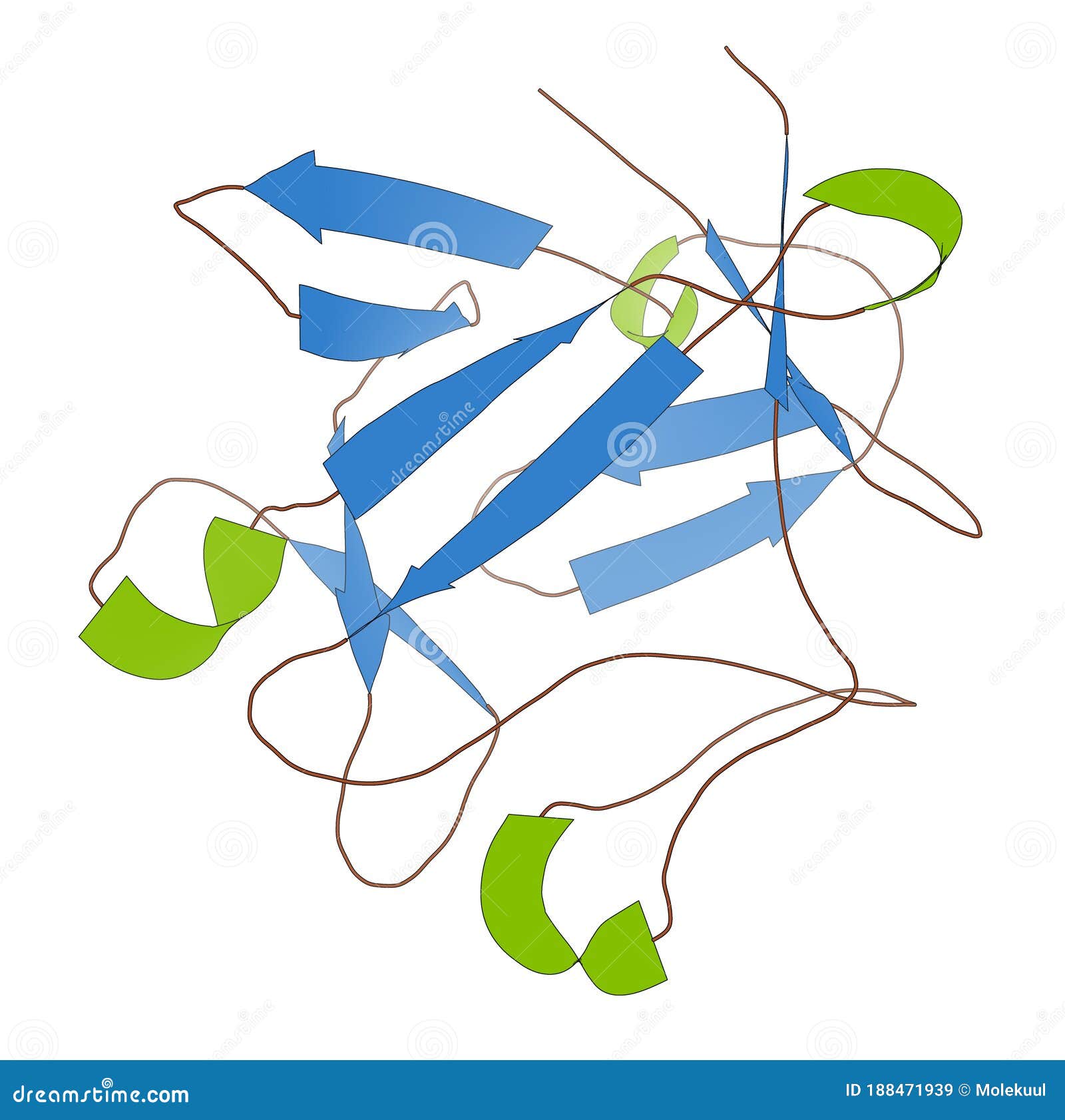 Basic Fibroblast Growth Factor (bFGF) Molecule. Plays Role In Wound ...